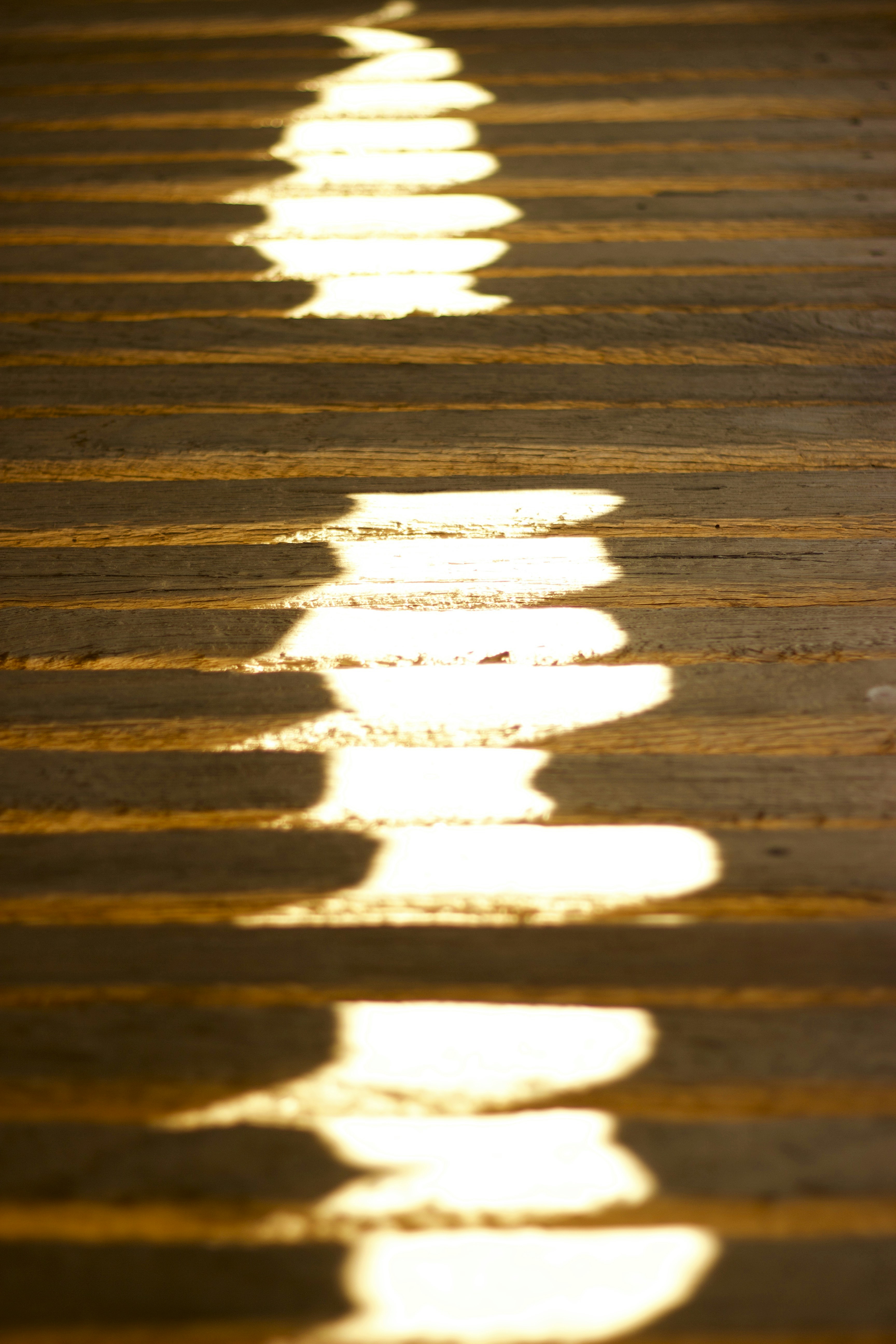 Closeup of wooden slatted flooring in shearing shed, lit by afternoon sun, Lake Mungo, NSW, Australia.