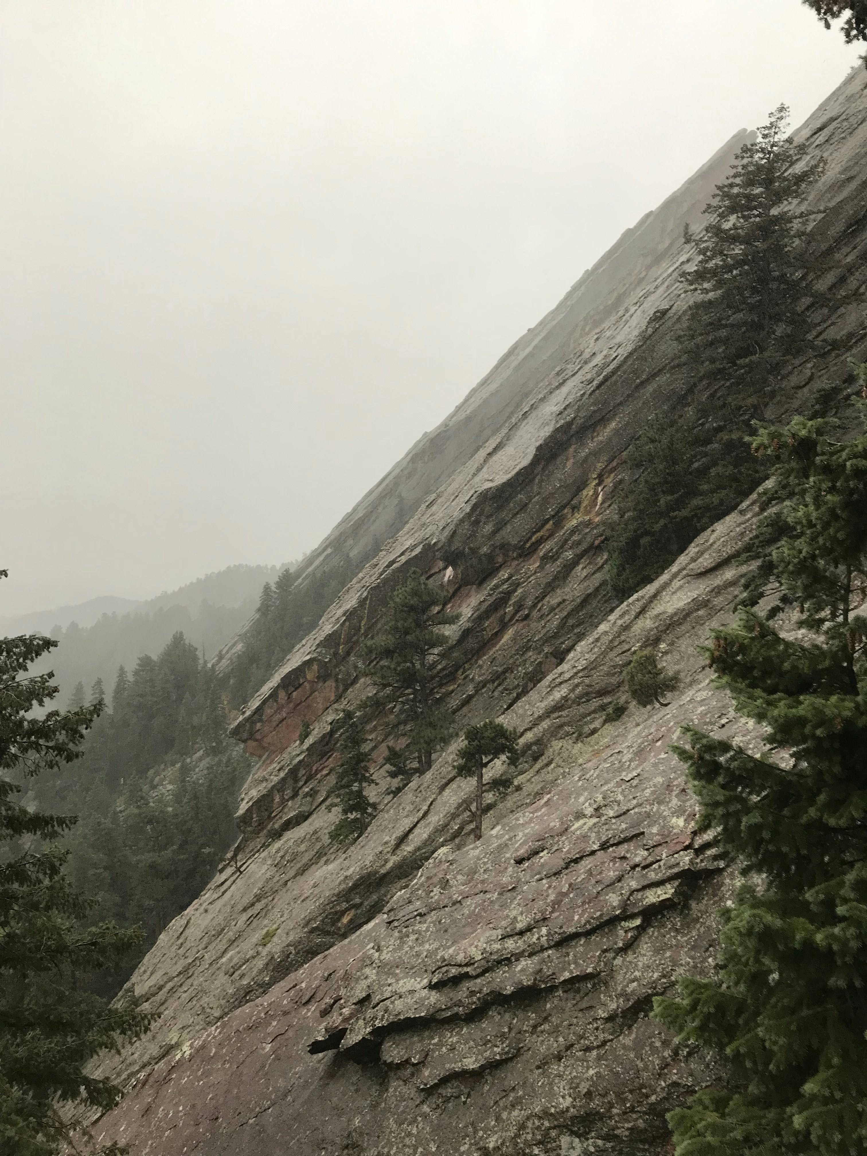 Steep rocky terrain adorned with resilient pine trees, enveloped in a misty atmosphere. The rugged landscape hints at the untamed beauty of nature.