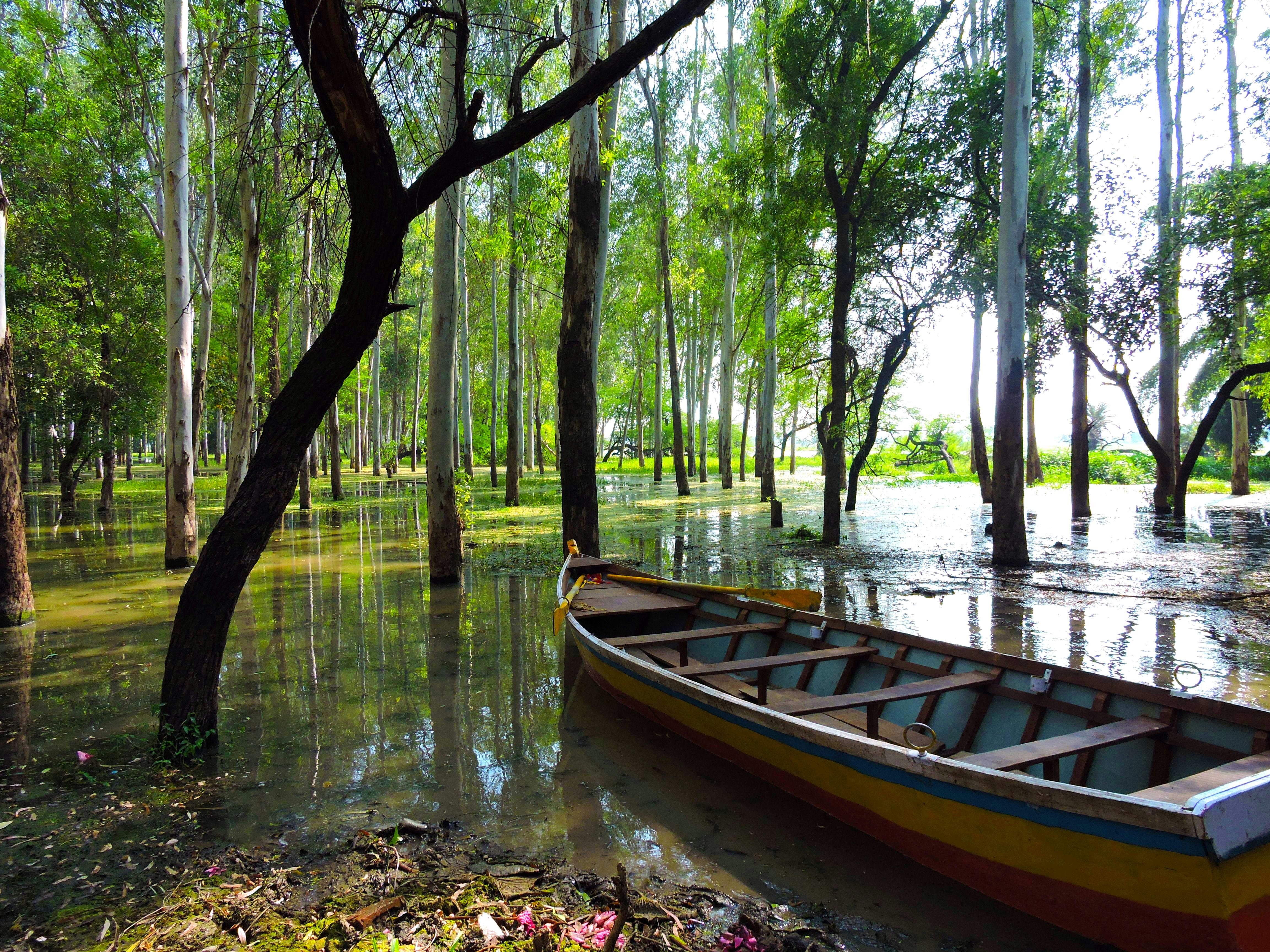 Un bateau est assis sur la rive d’une rivière photo – Photo Inde ...