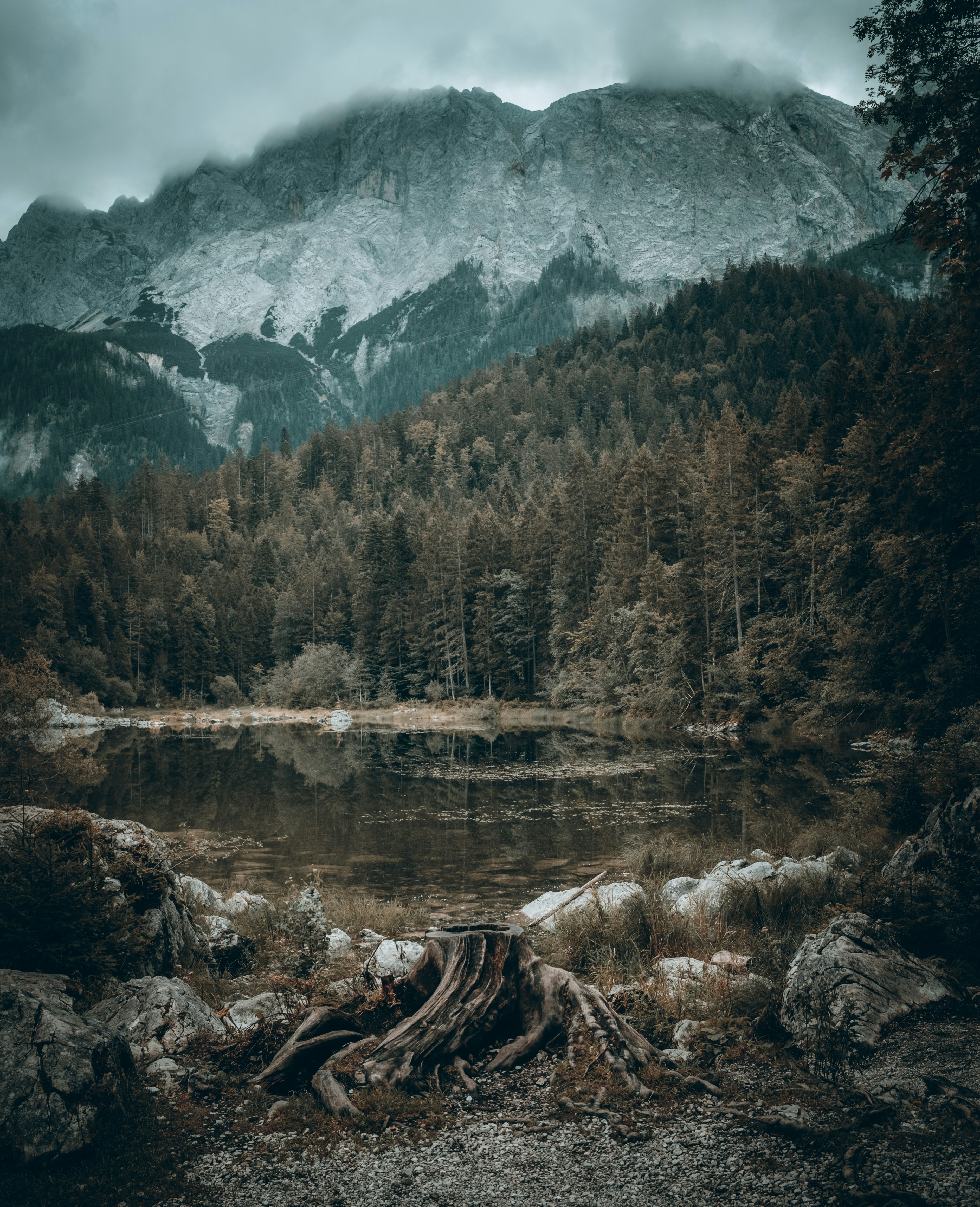 Tranquil alpine landscape featuring a serene lake surrounded by dense forests and towering mountains, with a weathered tree stump in the foreground.