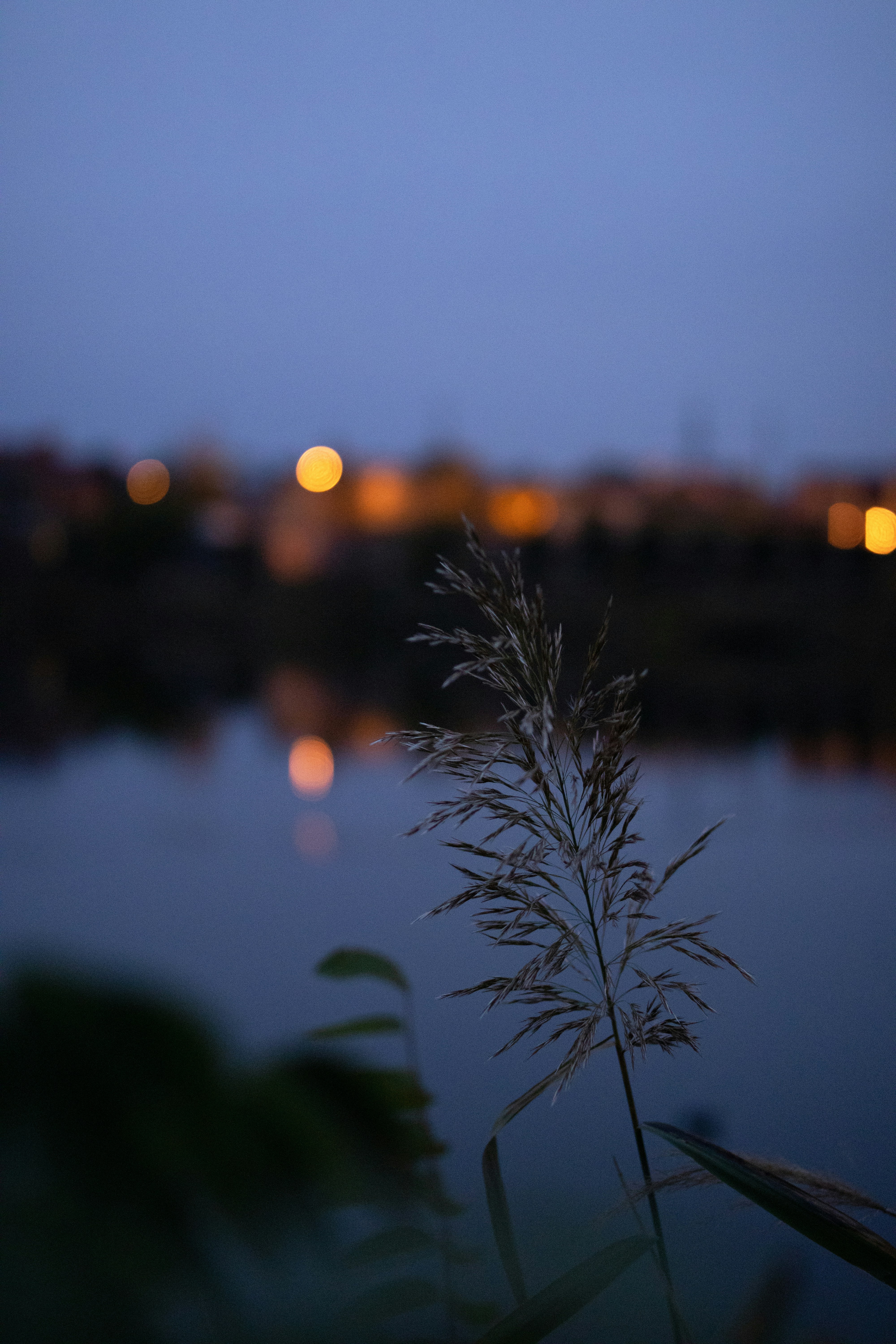 a view of a body of water at night