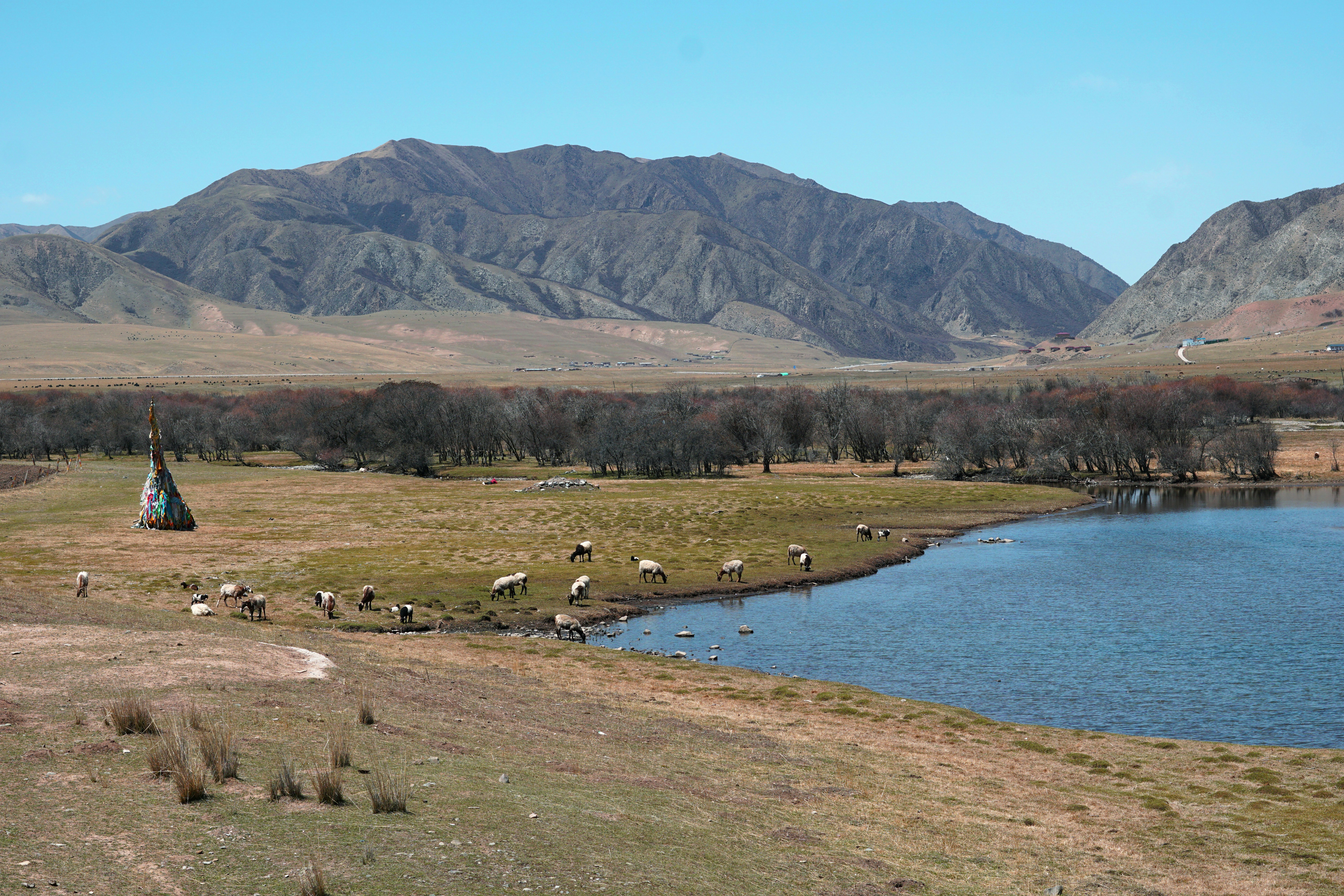 Melaniee (@melanieexue) | Komunitas Foto Unsplash