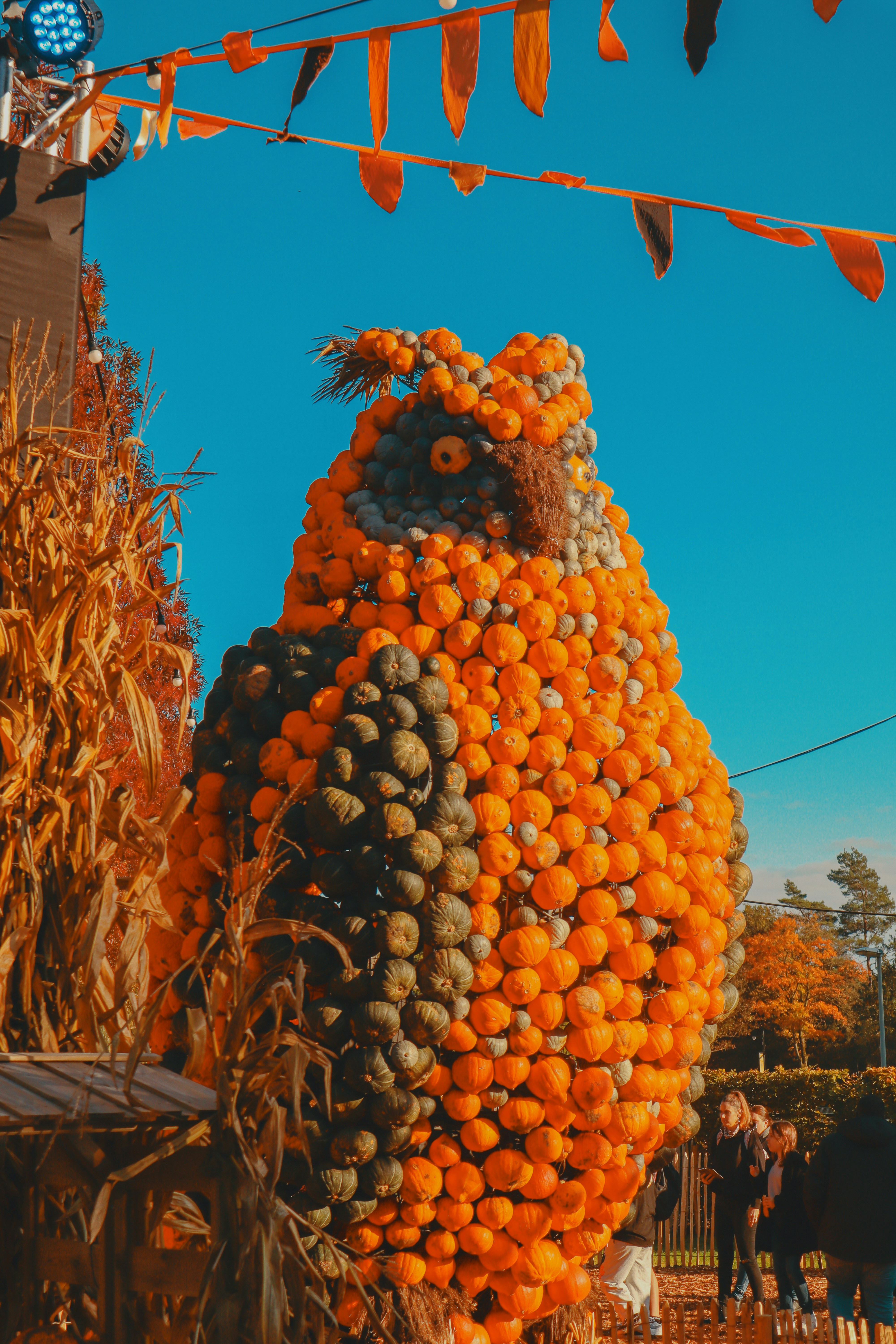 A vibrant owl sculpture made of pumpkins and gourds stands tall against a clear blue sky, surrounded by autumn decorations.