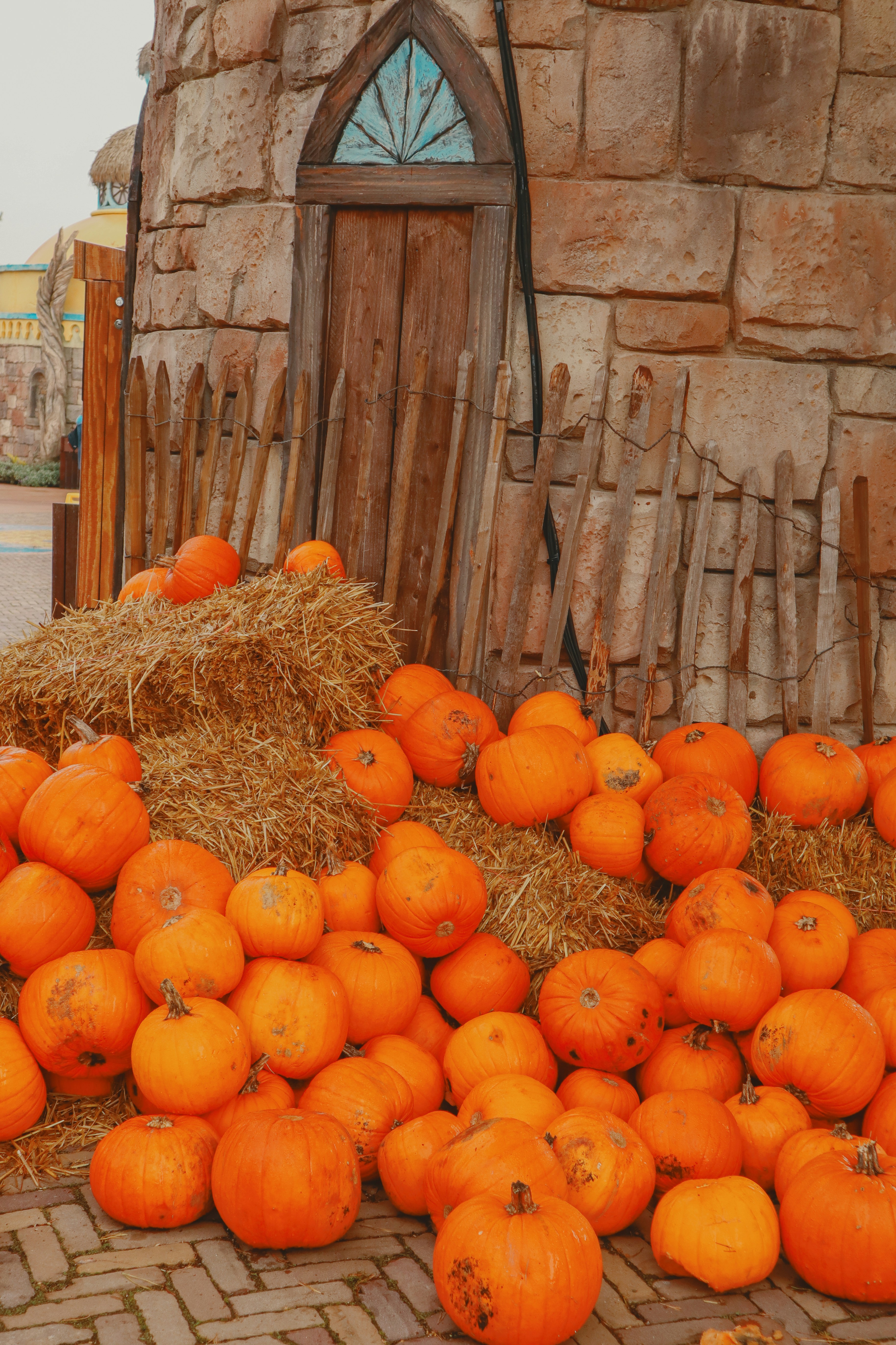 A pile of pumpkins sitting in front of a building photo – Free Fall ...