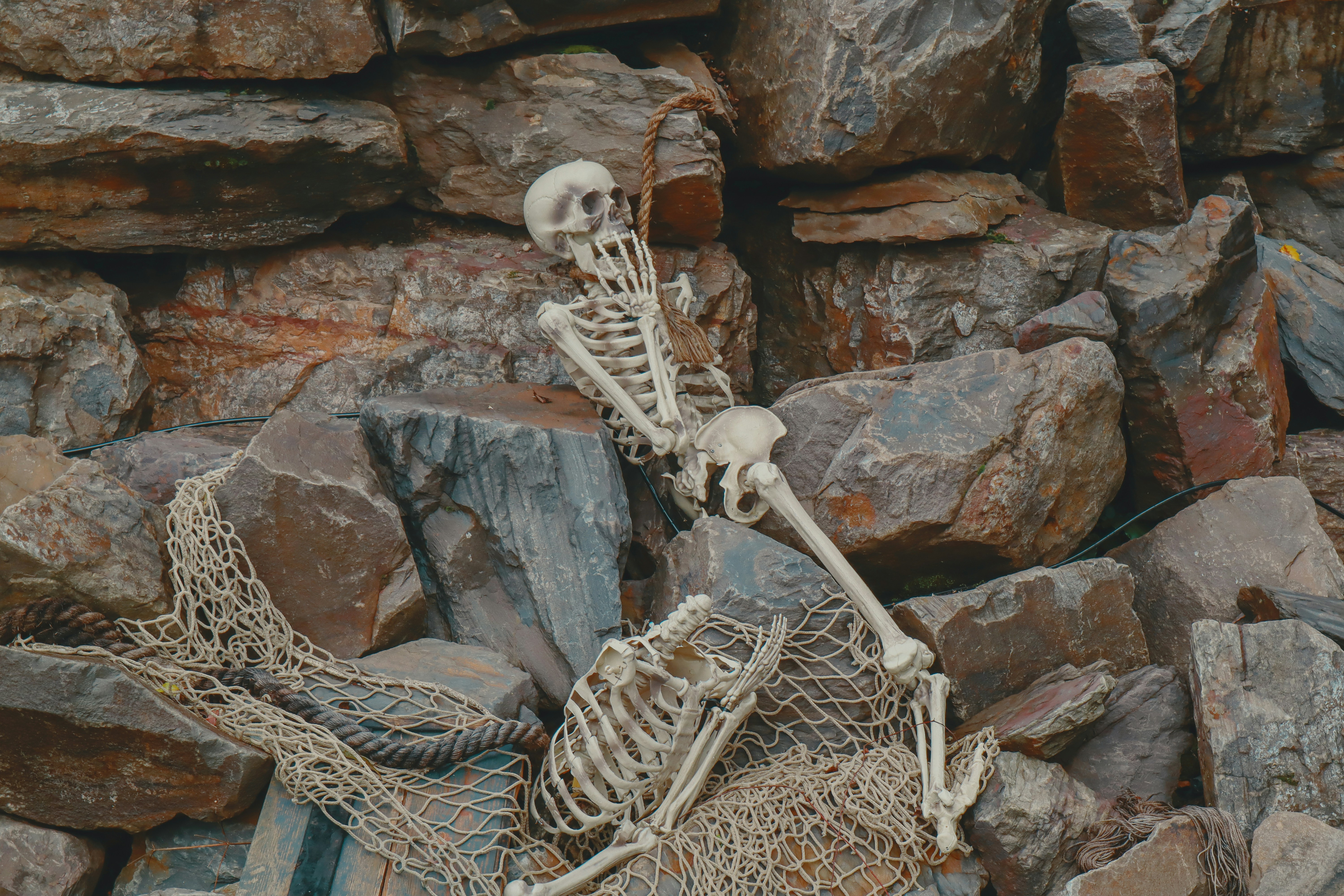 A skeleton sitting on top of a pile of rocks photo – Free Toverland ...