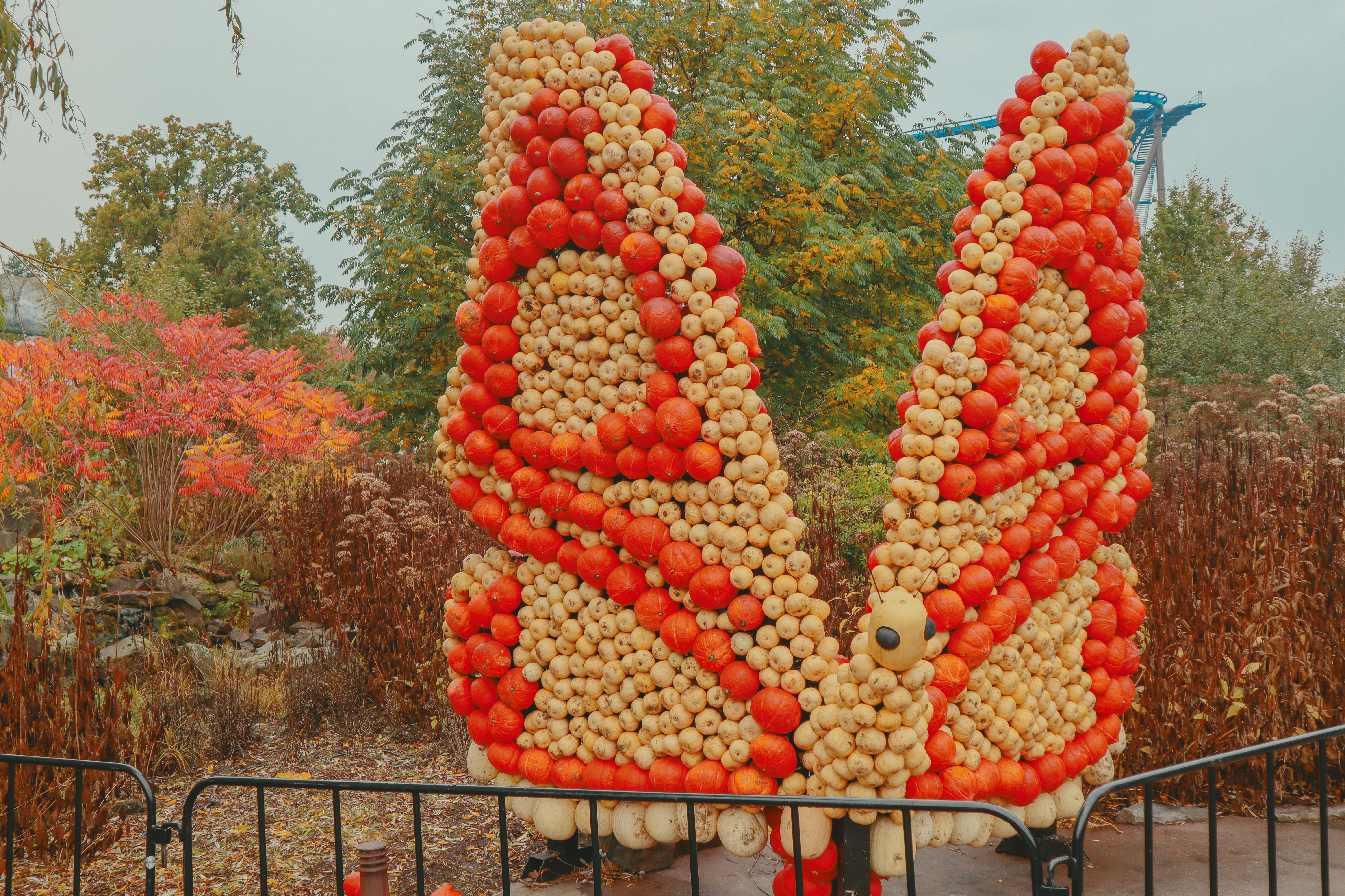 Double-Wing Orbs: Balloon Sculpture Framed by Autumn Foliage