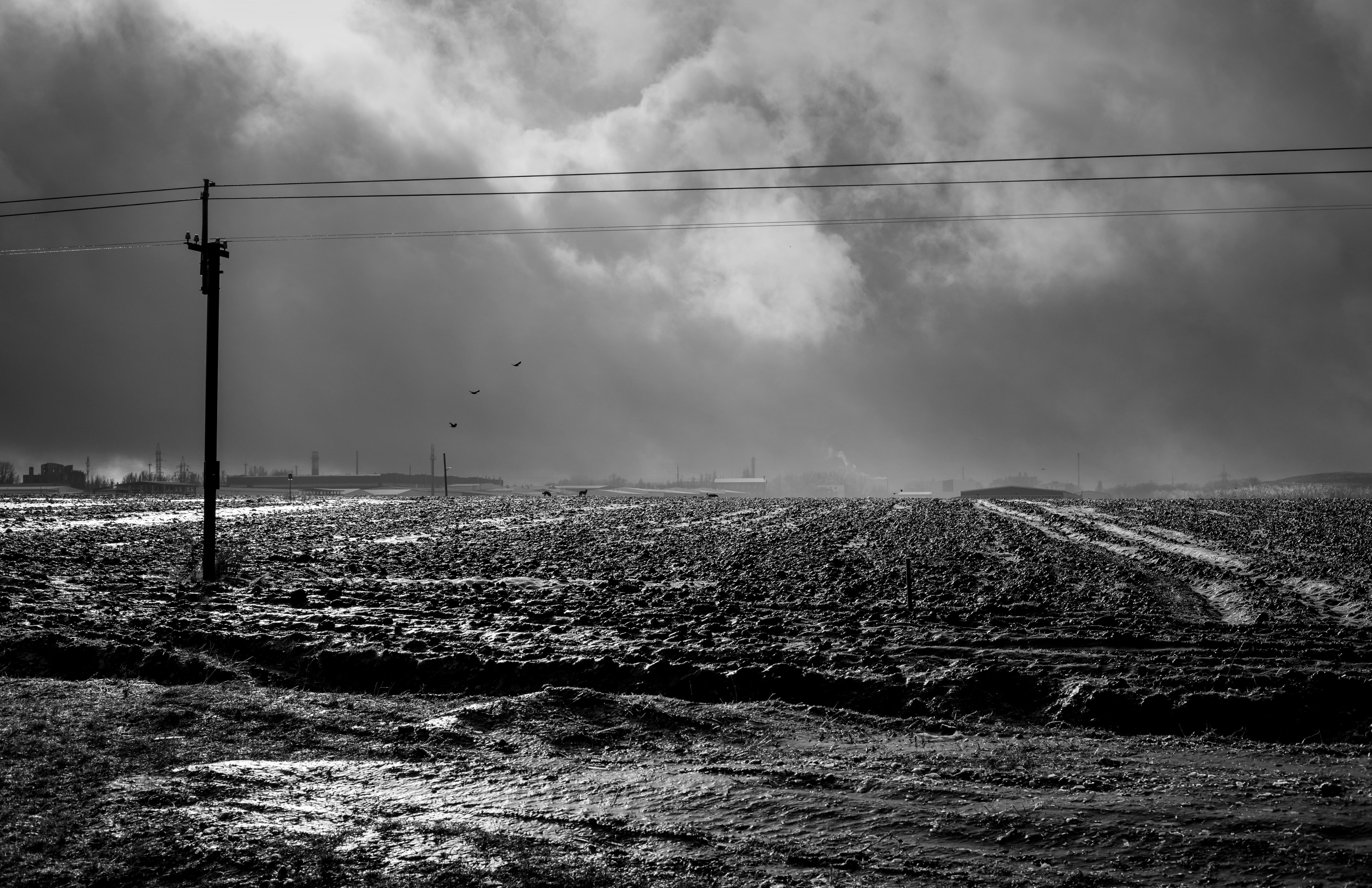 Lone Pole, Looming Sky: A Black-and-White Field Under Storm Clouds