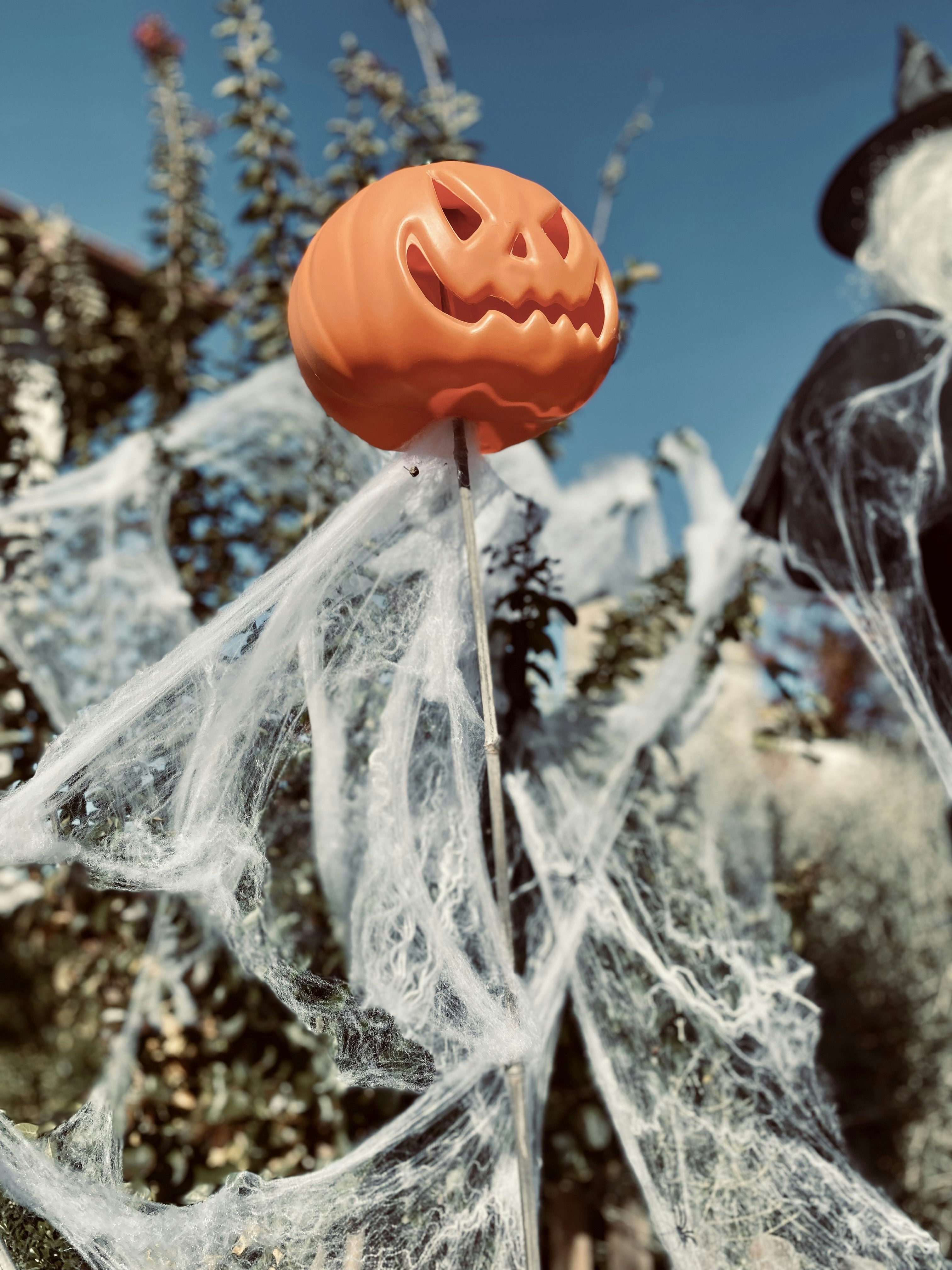 Pumpkin on a cobweb stage: autumnal horror in the frost