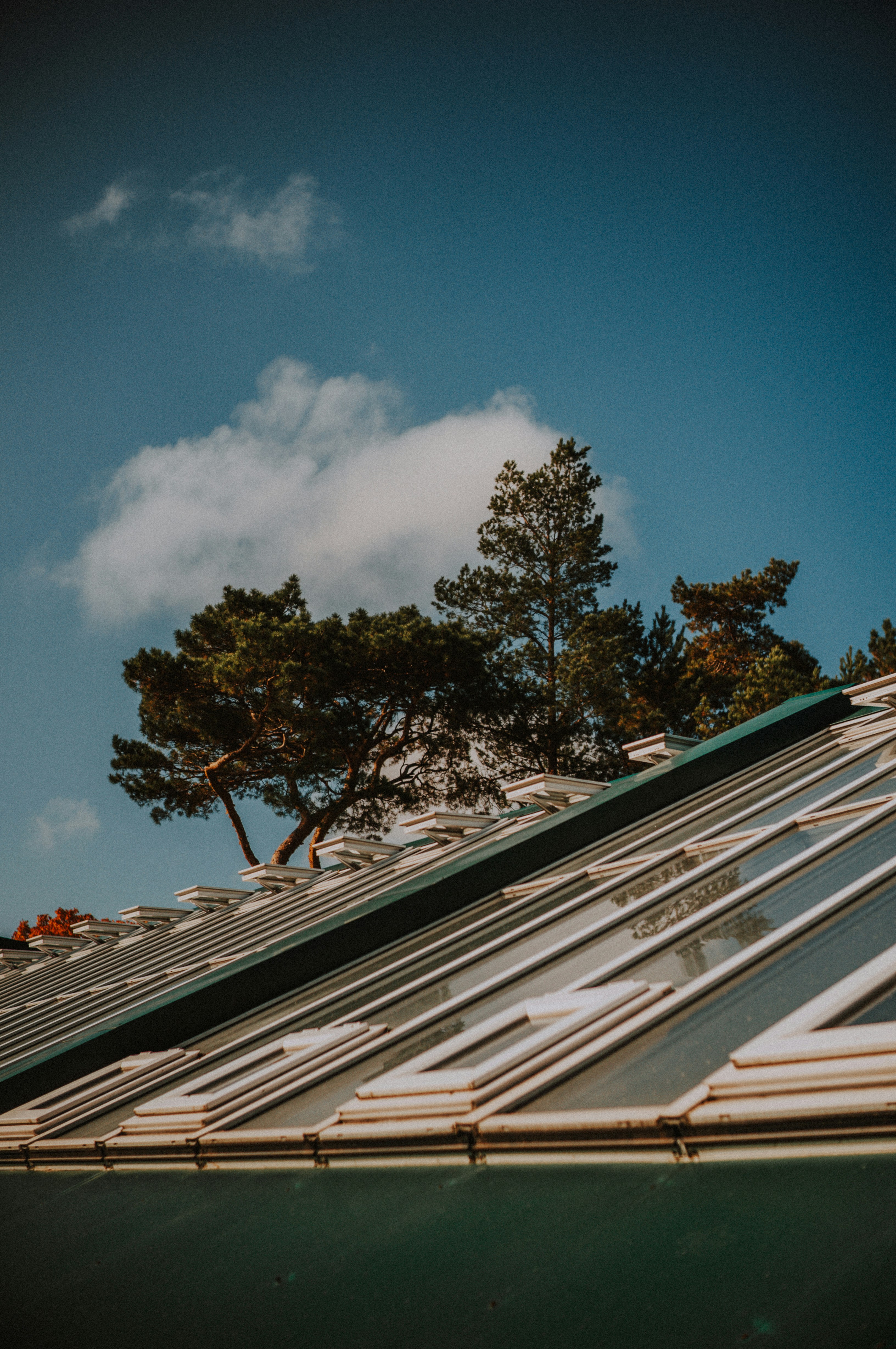 The roof of a building with a tree in the background photo – Free Roof ...
