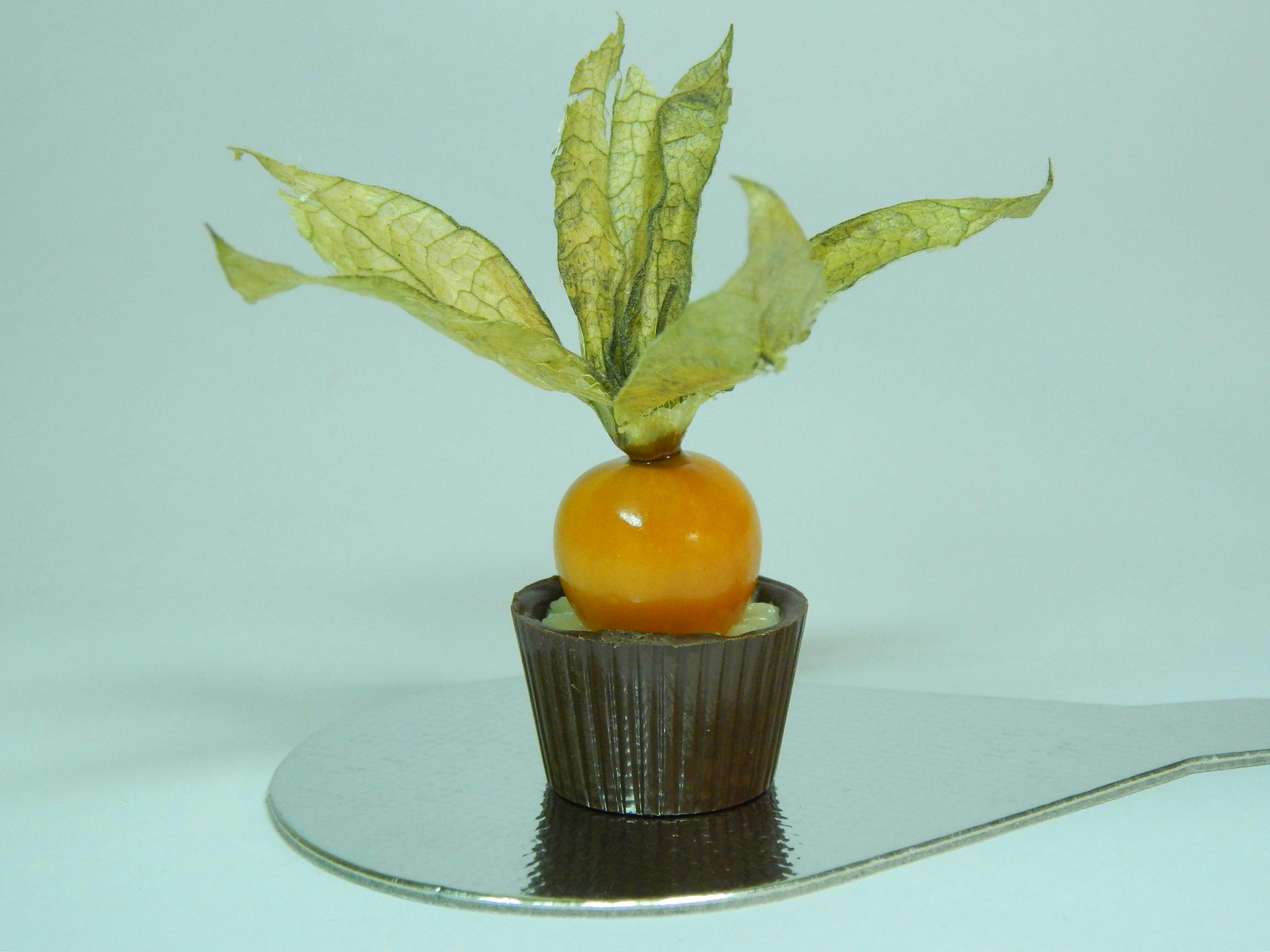 A vibrant orange fruit nestled in a chocolate cup, adorned with delicate, translucent leaves, showcasing a playful blend of nature and dessert.