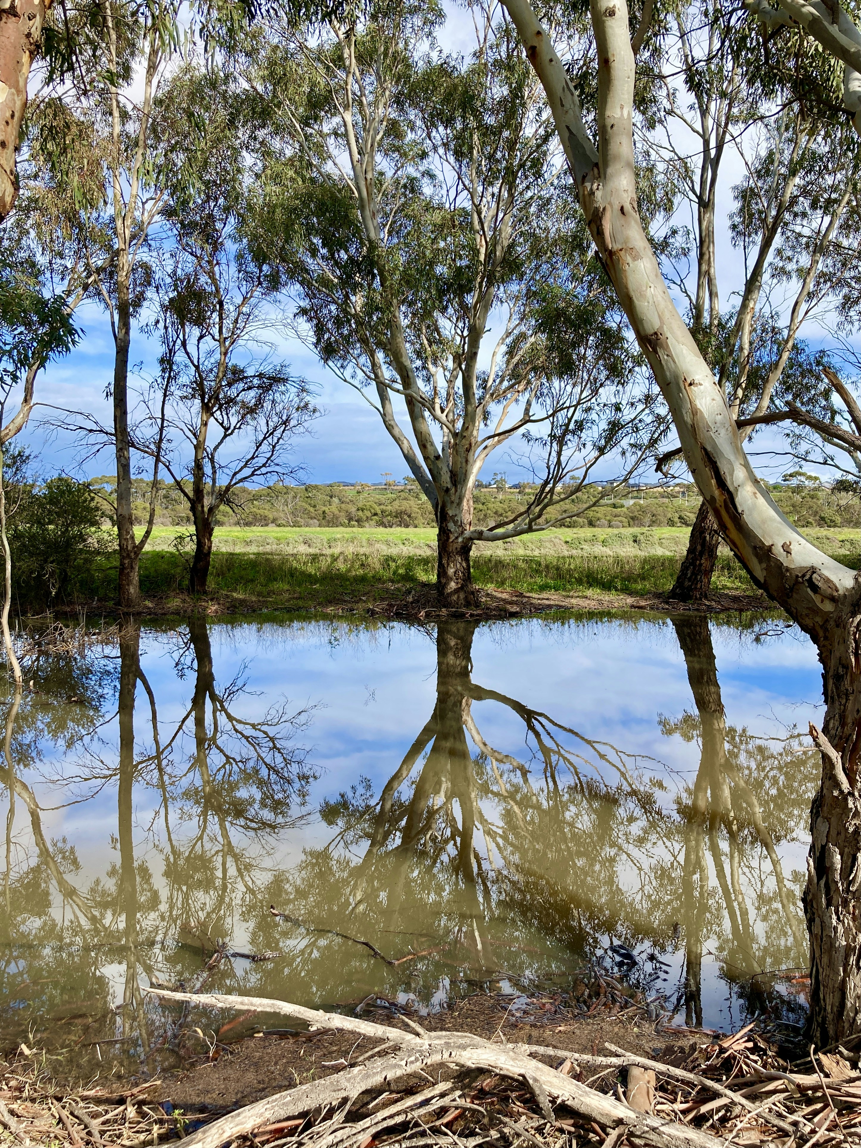 Catrin Johnson (@simplelovelyuseful) | Comunidade de fotos da Unsplash