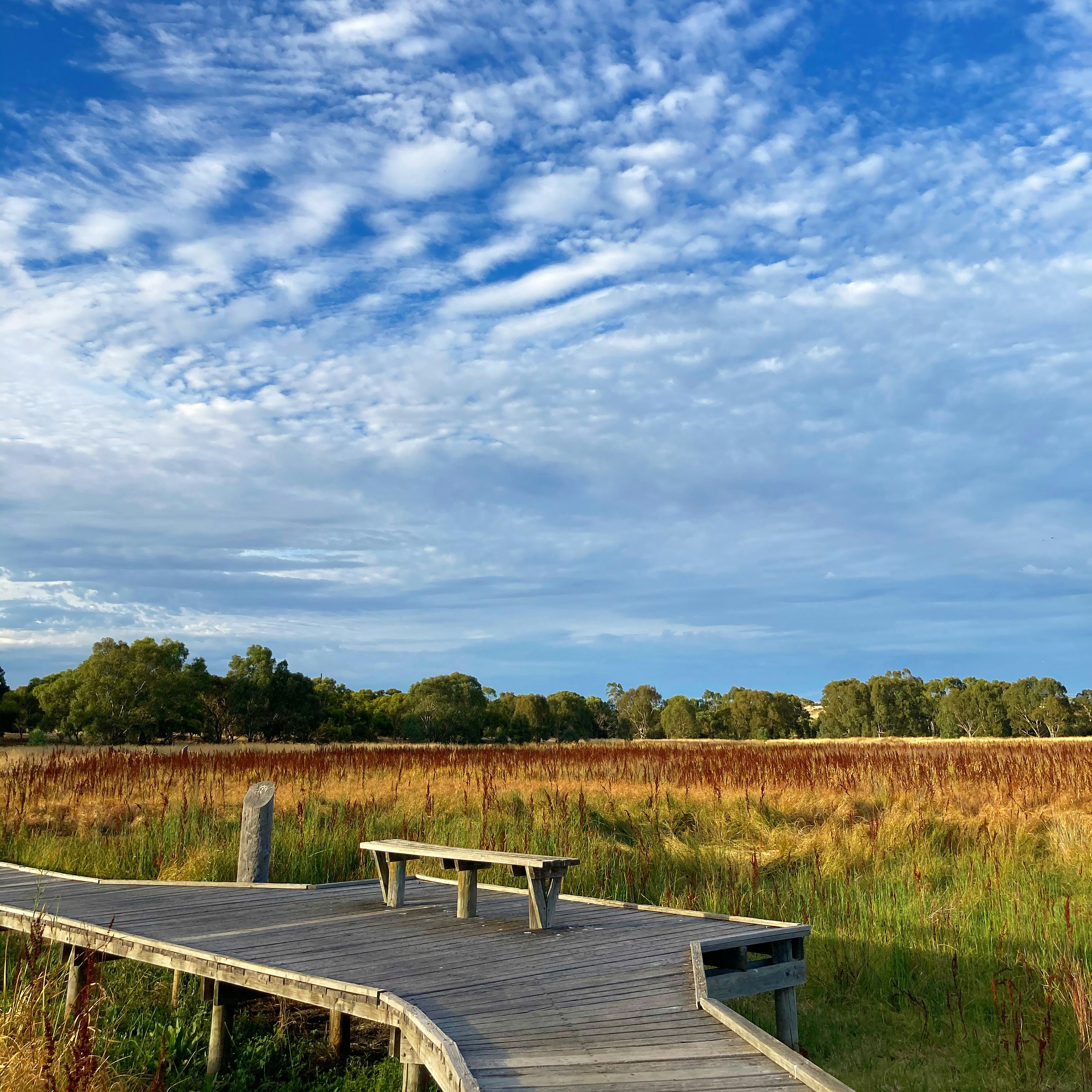 Catrin Johnson (@simplelovelyuseful) | Comunidade de fotos da Unsplash