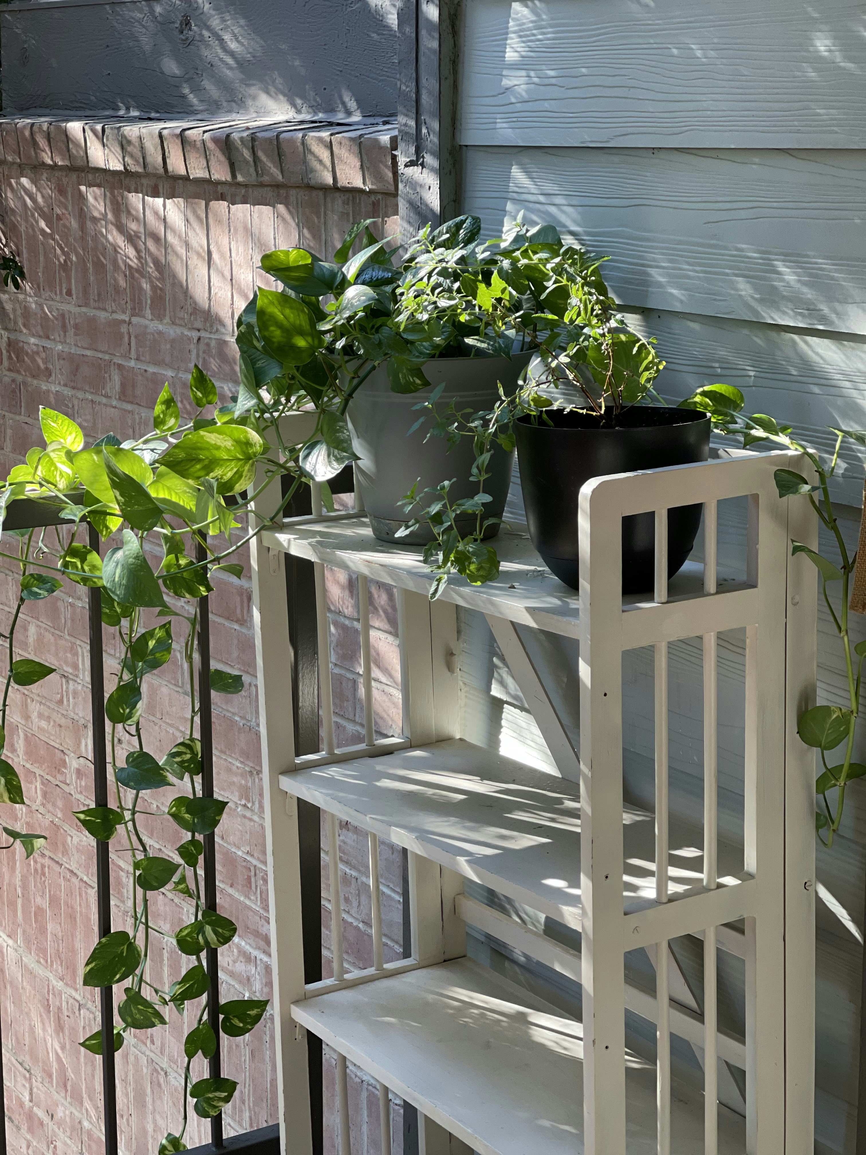 Sunlit Balcony Greens on a White Shelf Against Brick and Siding