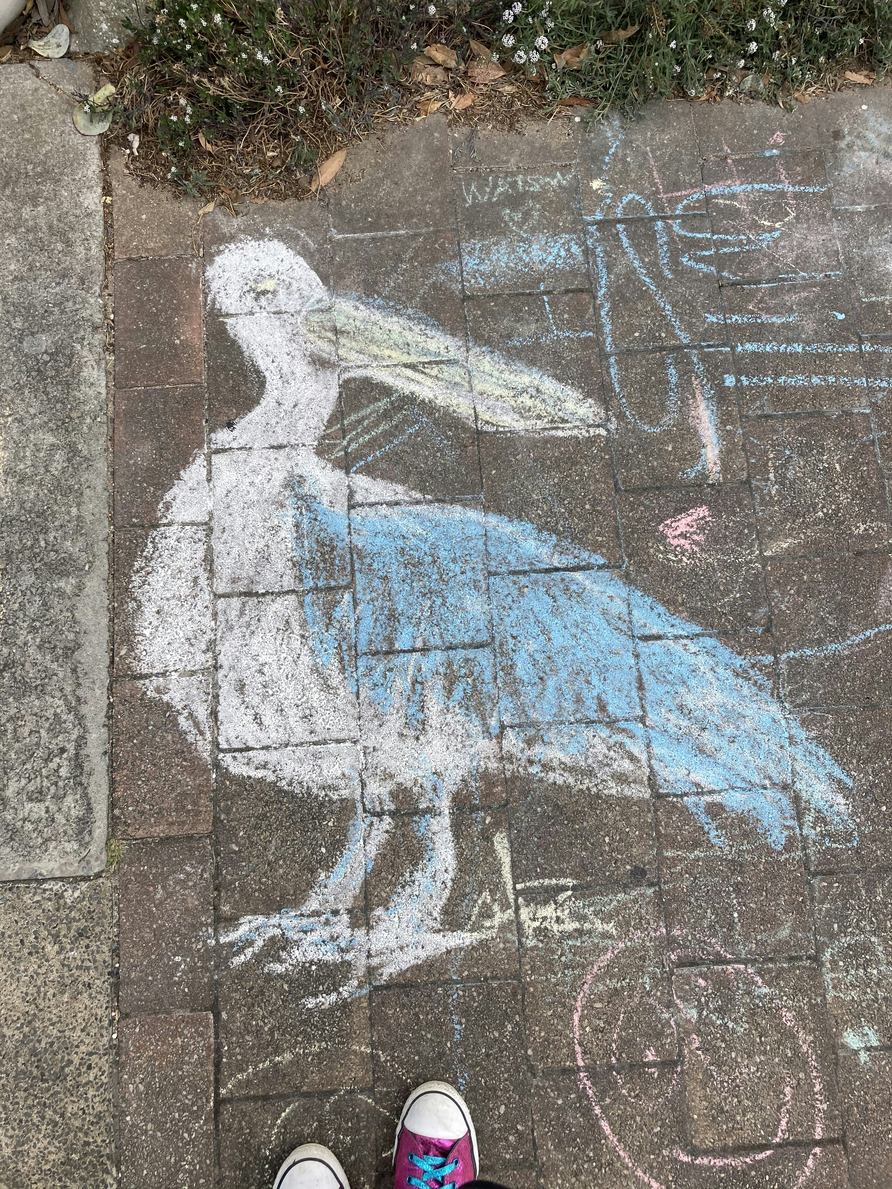 Catrin Johnson (@simplelovelyuseful) | Unsplashフォトコミュニティ