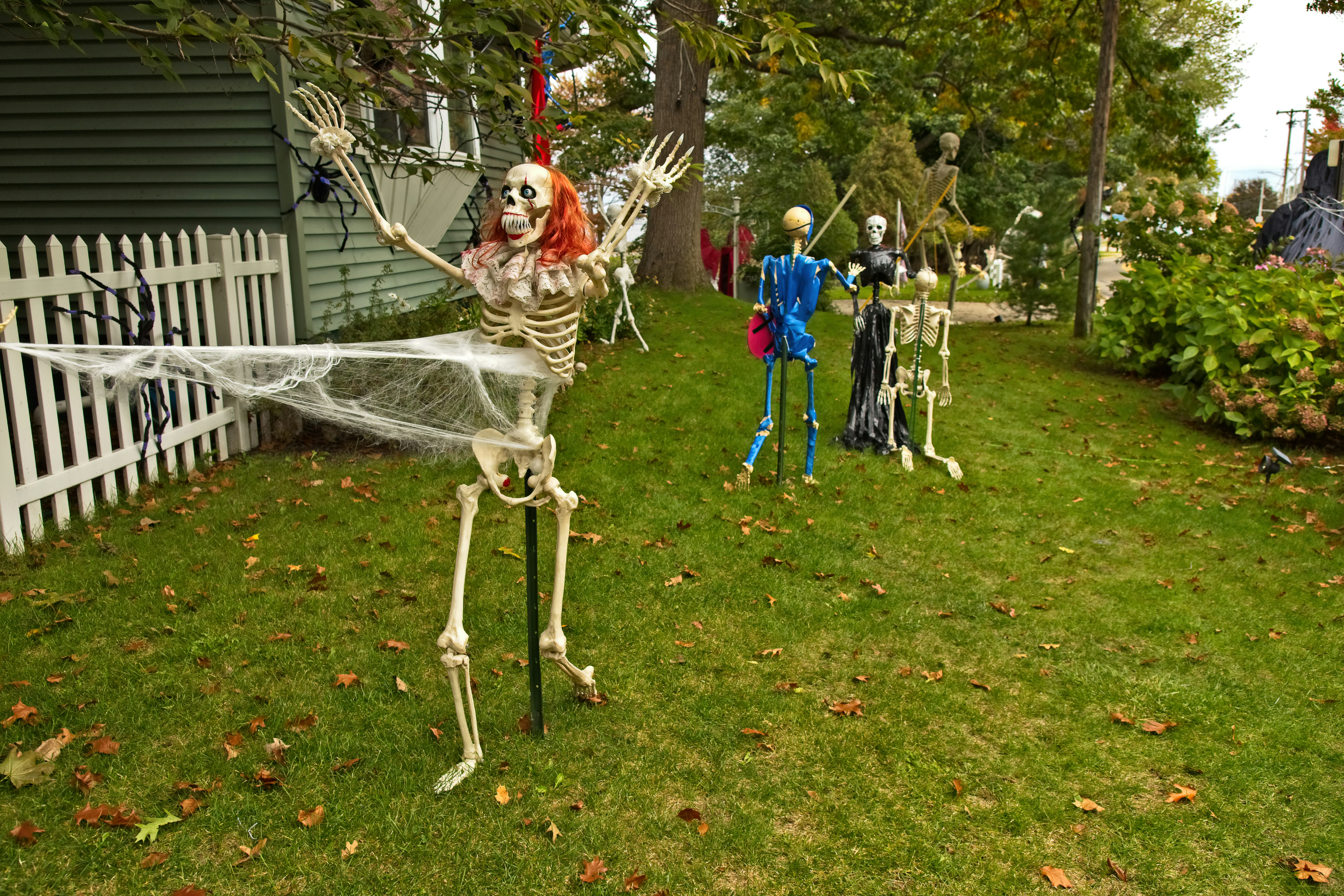 A yard decorated for halloween with skeletons and spider webs photo ...