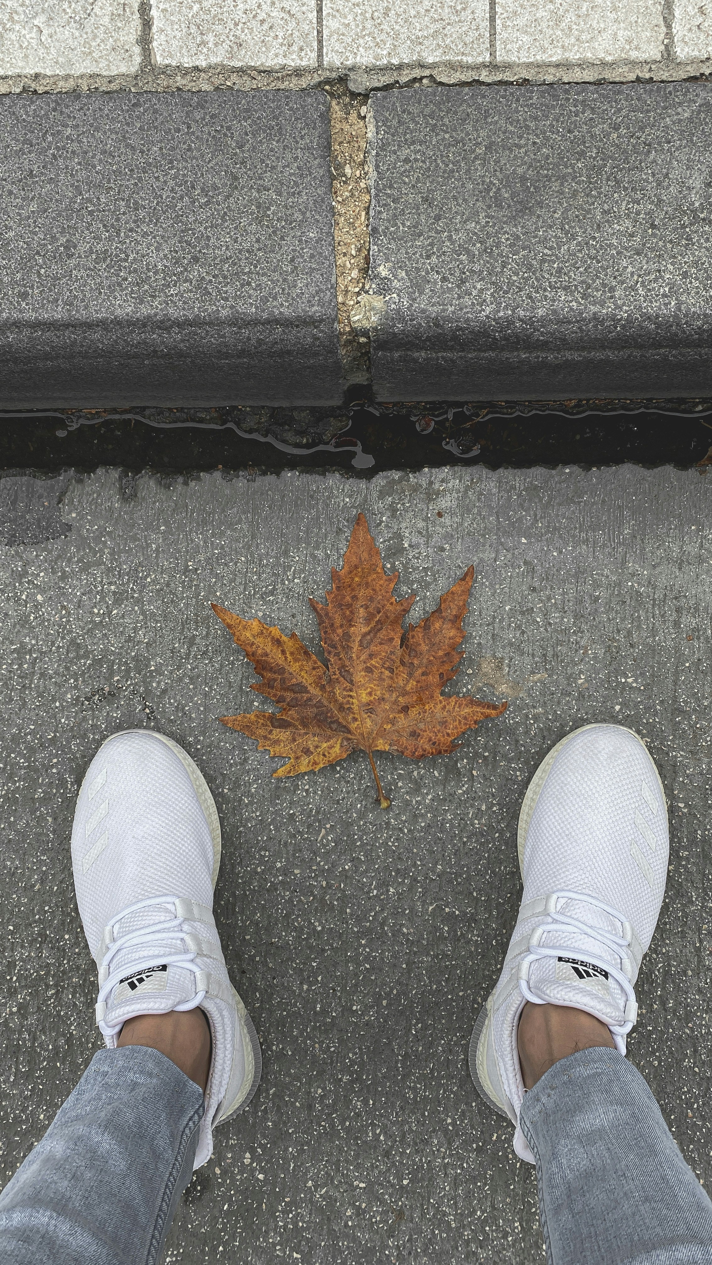 Autumn Leaf Between White Sneakers on a City Pavement