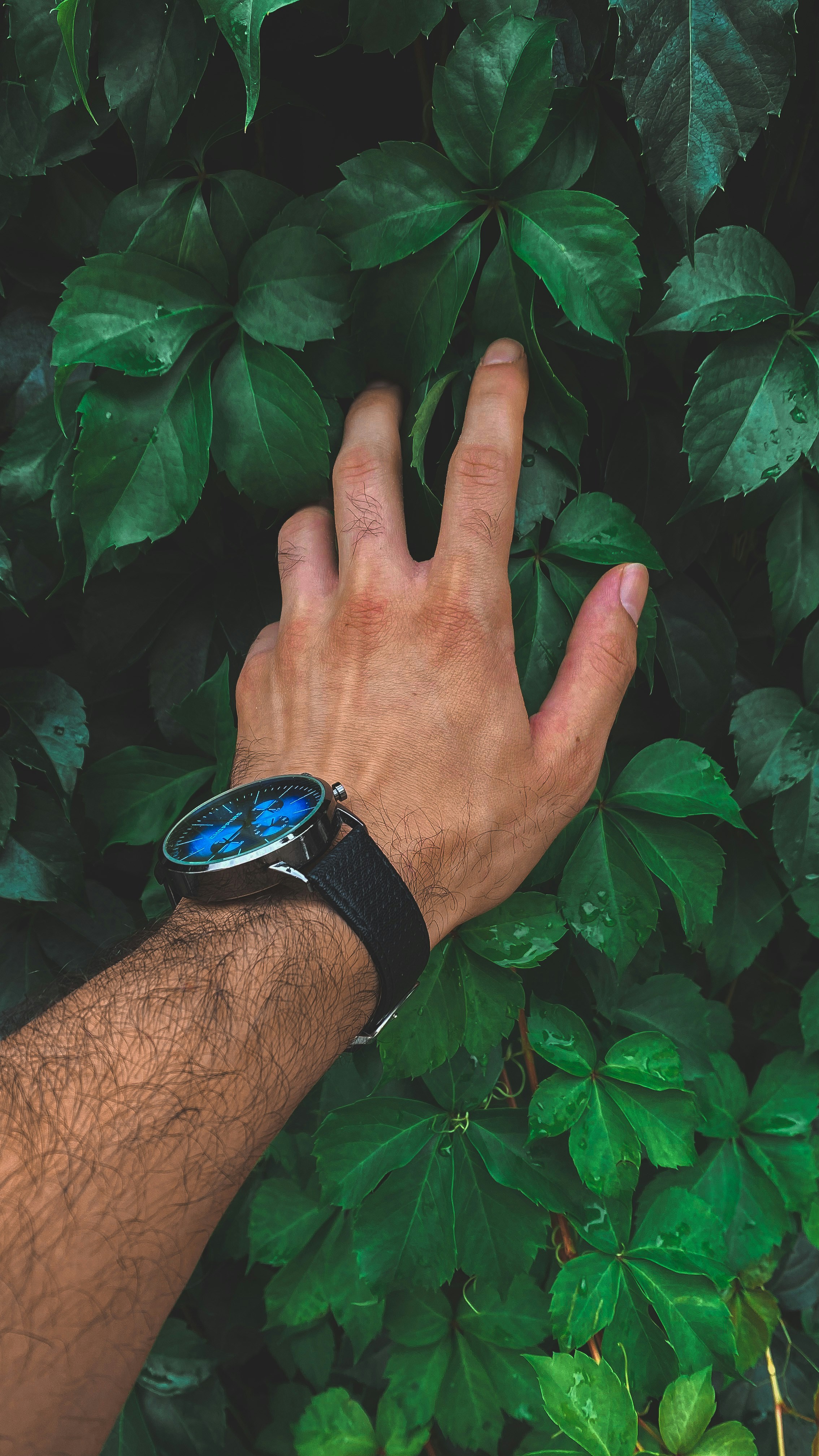 Foto La mano de un hombre con un reloj de pulsera – Imagen Reloj de ...