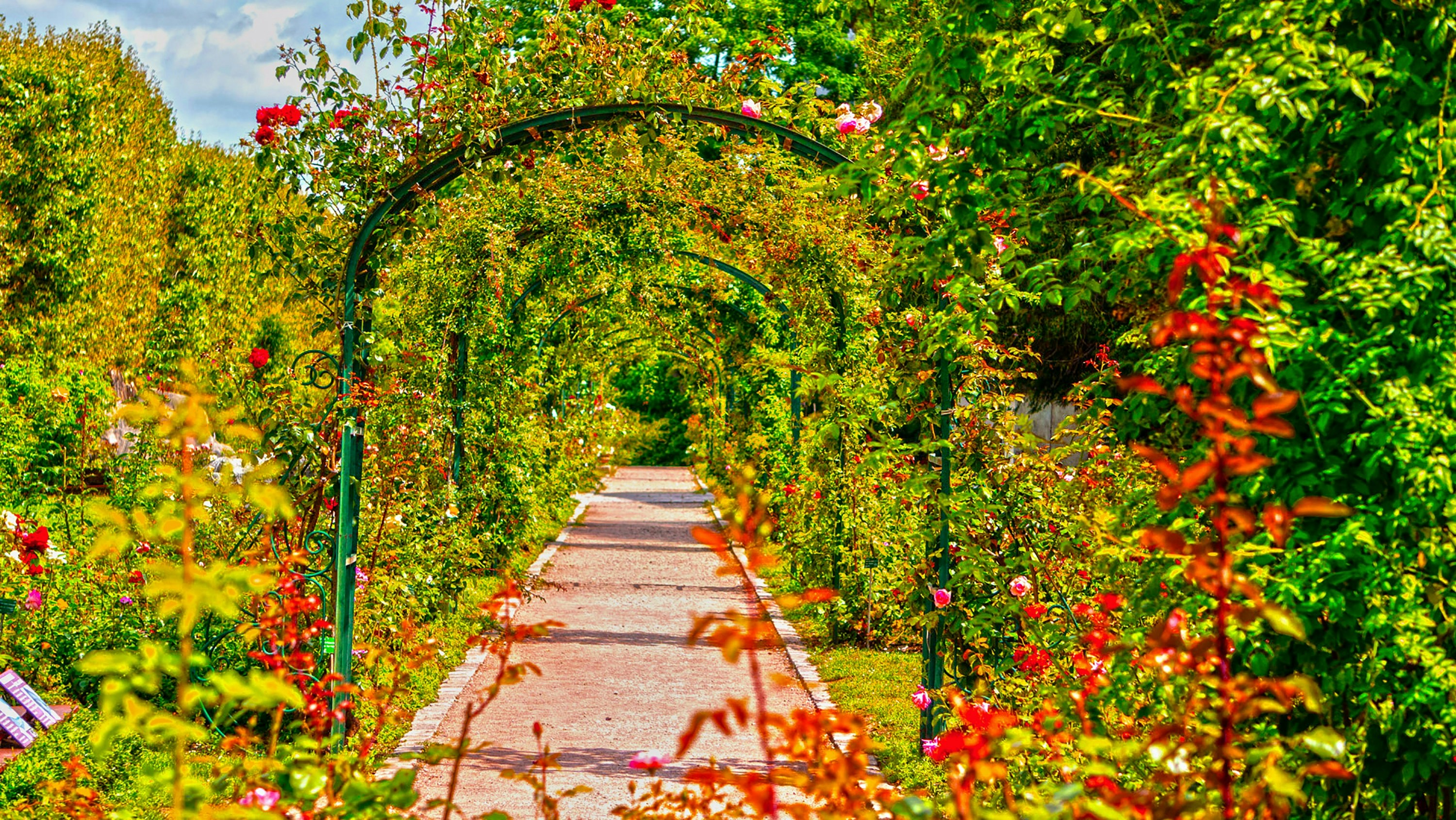 A path through a garden with lots of flowers photo – Free Path Image on ...