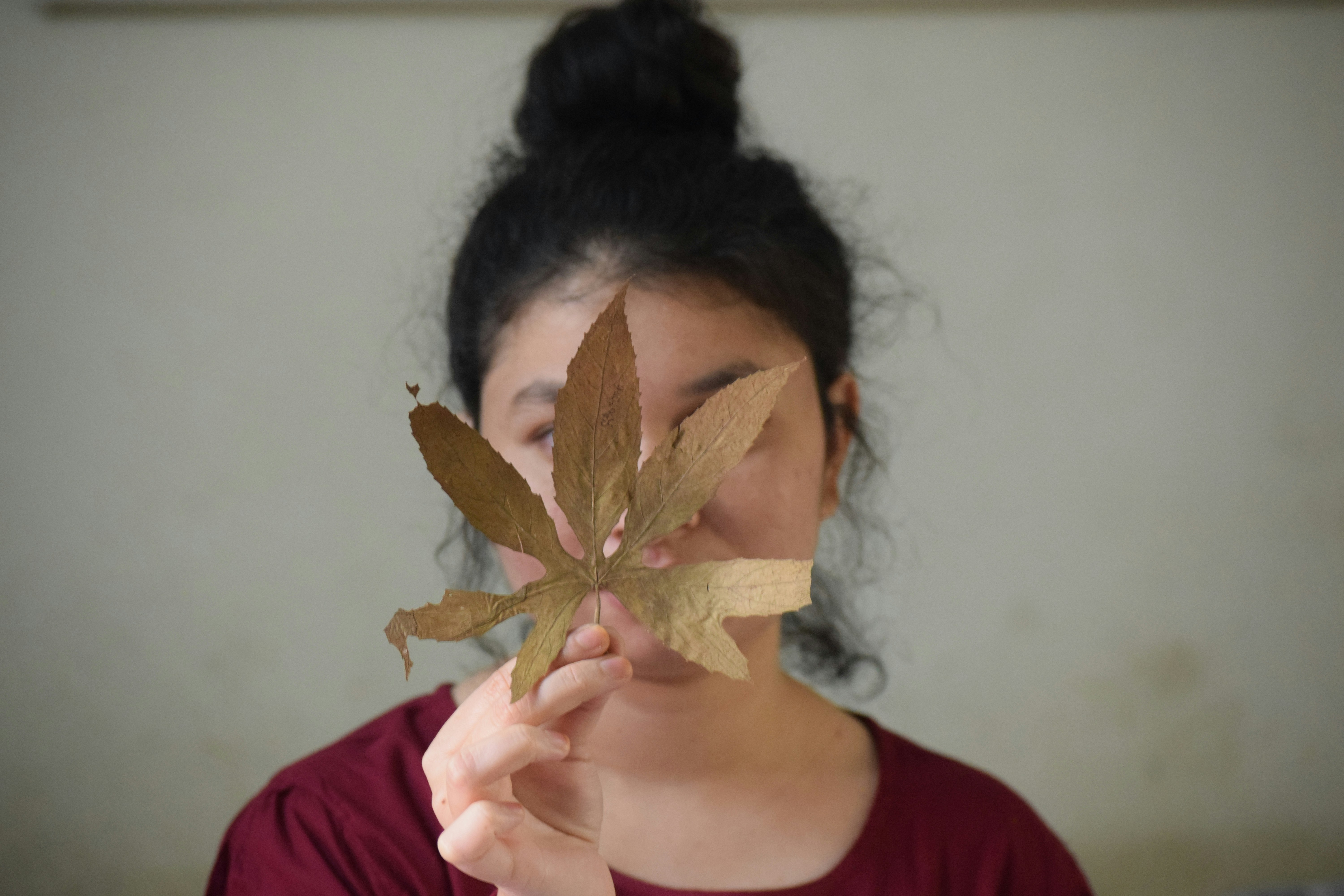 Leafly Veil: A Portrait Through Autumn Foliage