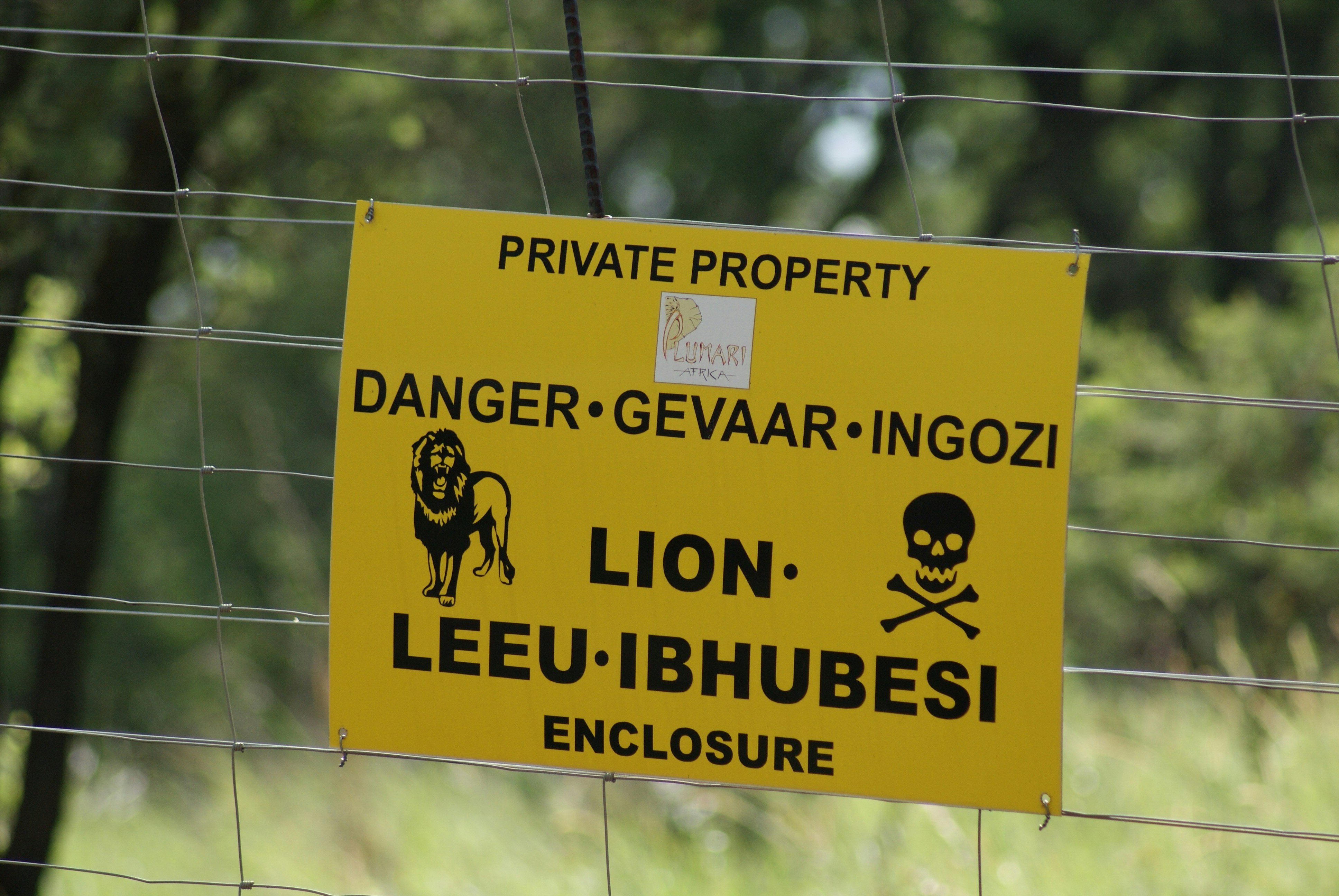 A yellow sign warning of dangers of lions photo – Free Lion Image on ...
