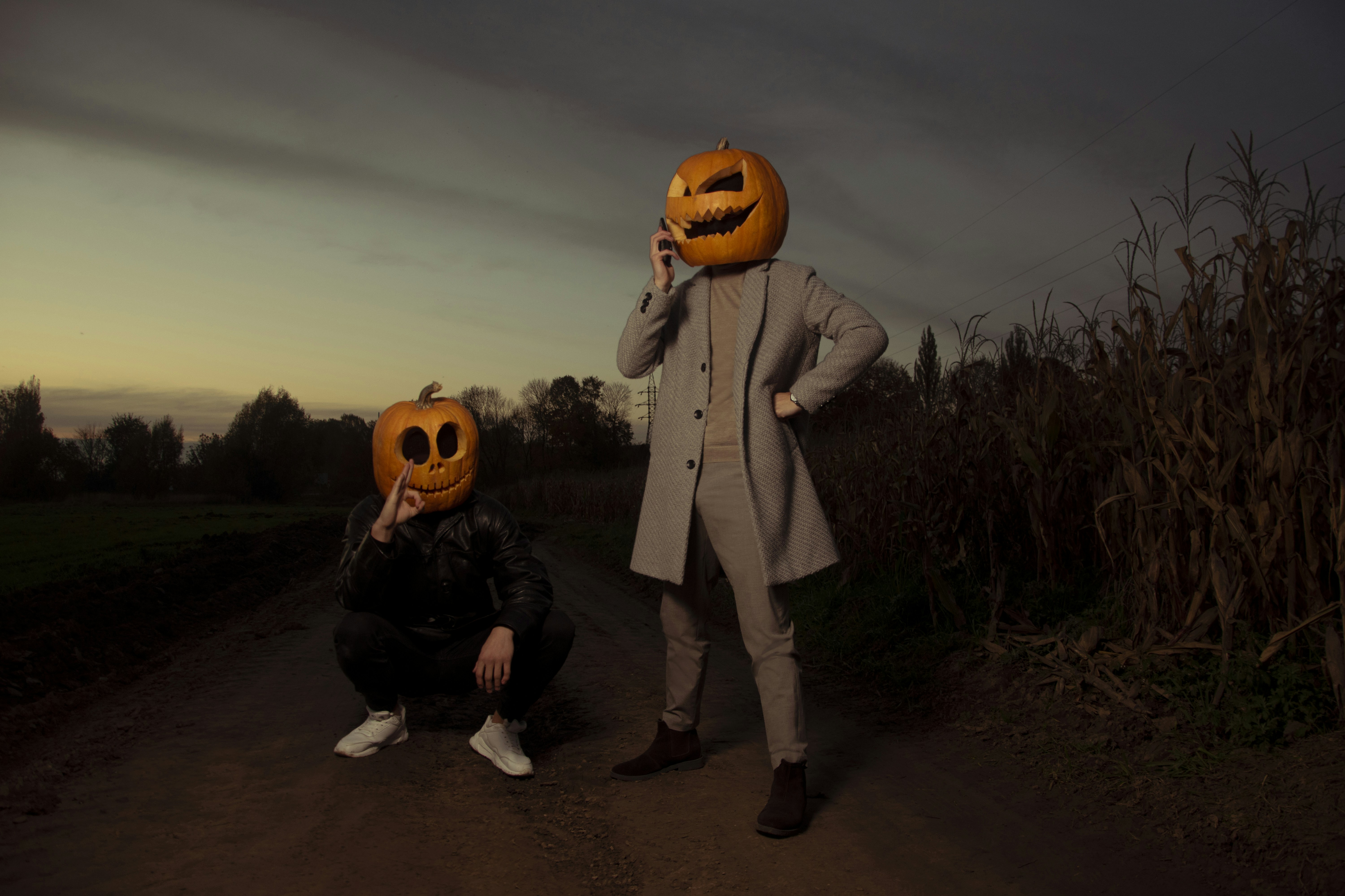 Halloween photos. It will be a huge support for me if you will subscribe and like my social networks or tag me where you will use this photo: https://www.instagram.com/iserediuk https://www.youtube.com/c/IvanSerediuk
