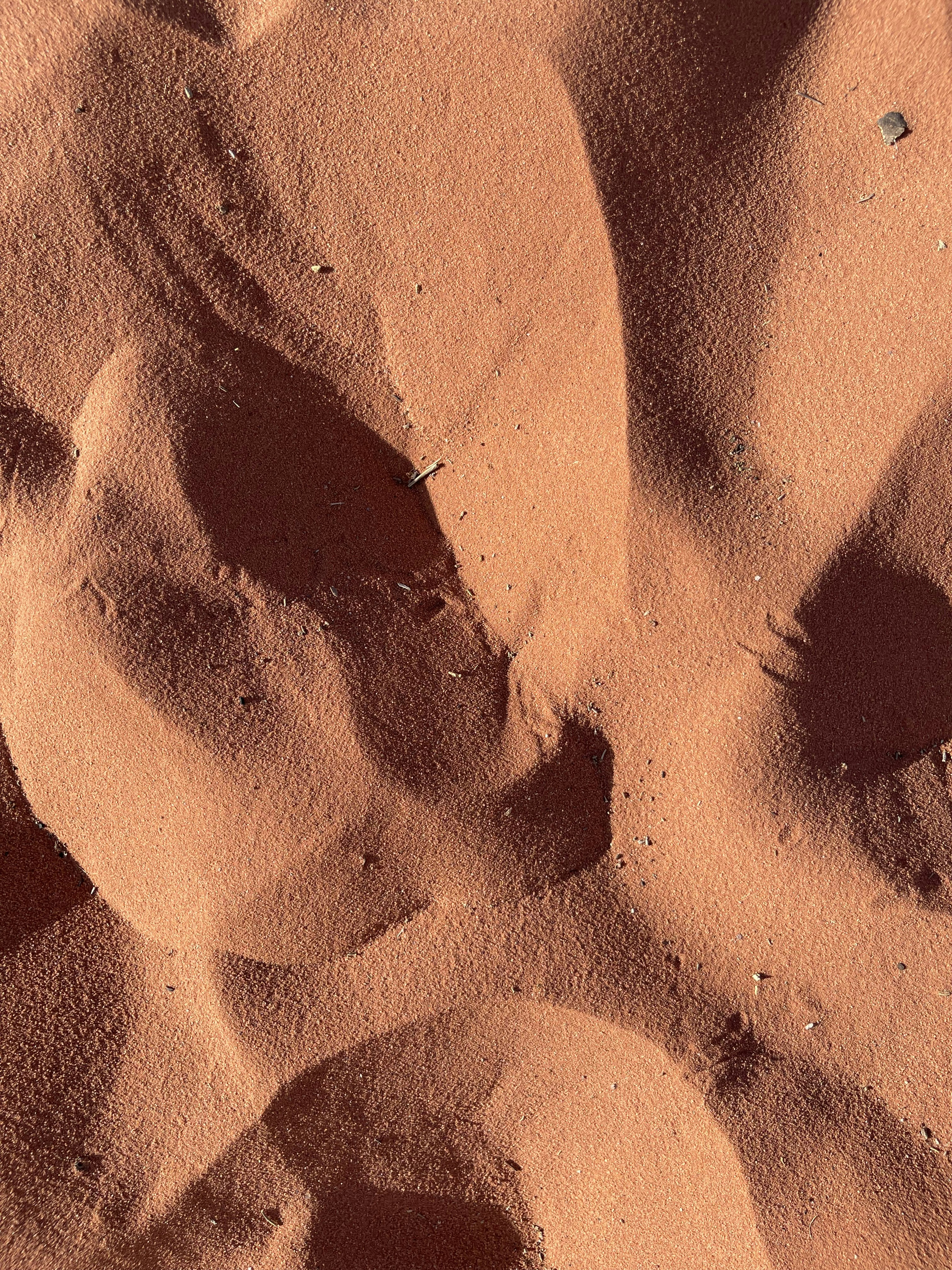 Intricate patterns formed by wind-swept sand in a desert landscape, showcasing the natural artistry of erosion and time.
