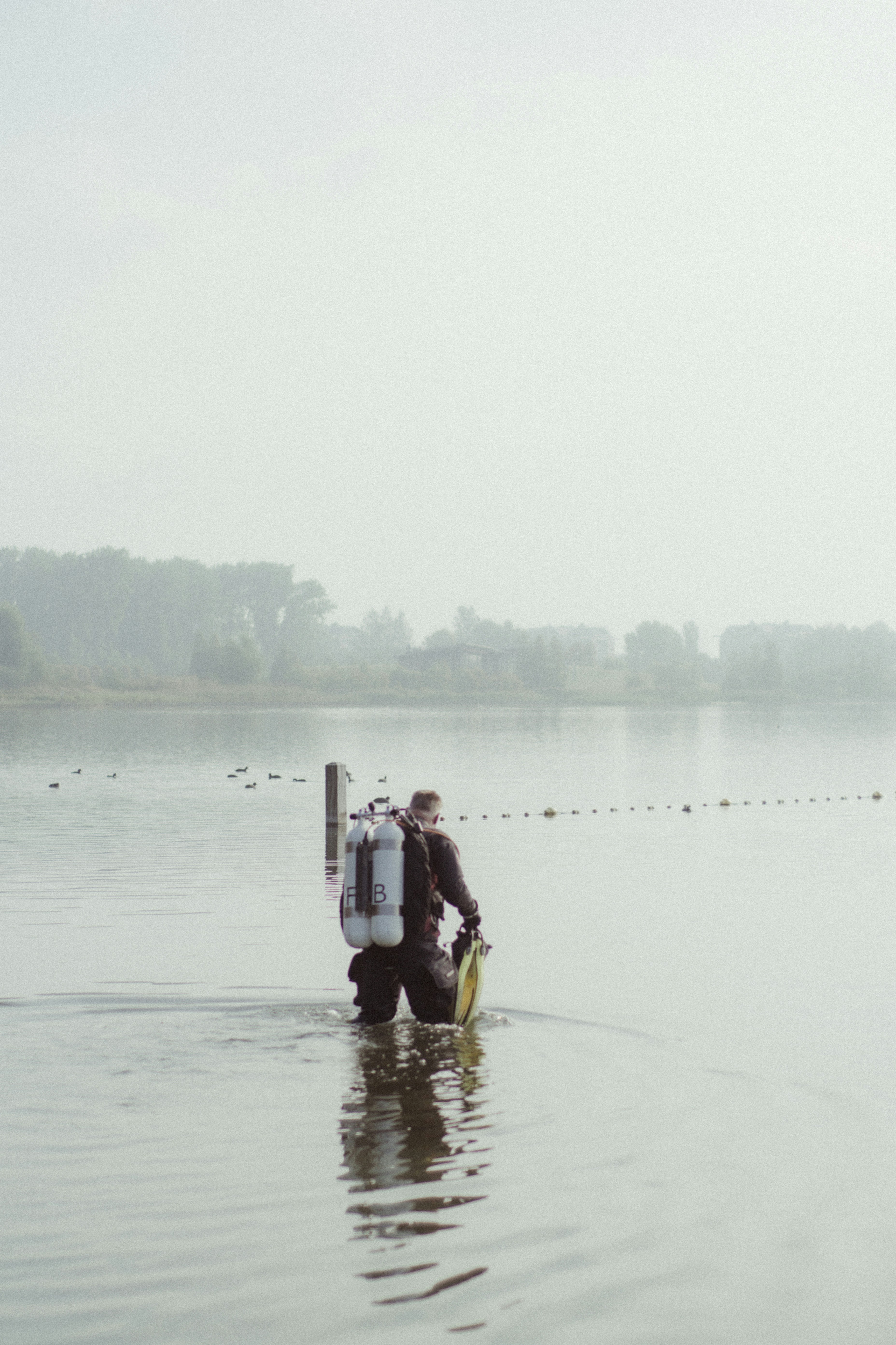 Diver in the Quiet Lake: A Diver Off a Gentle Shore