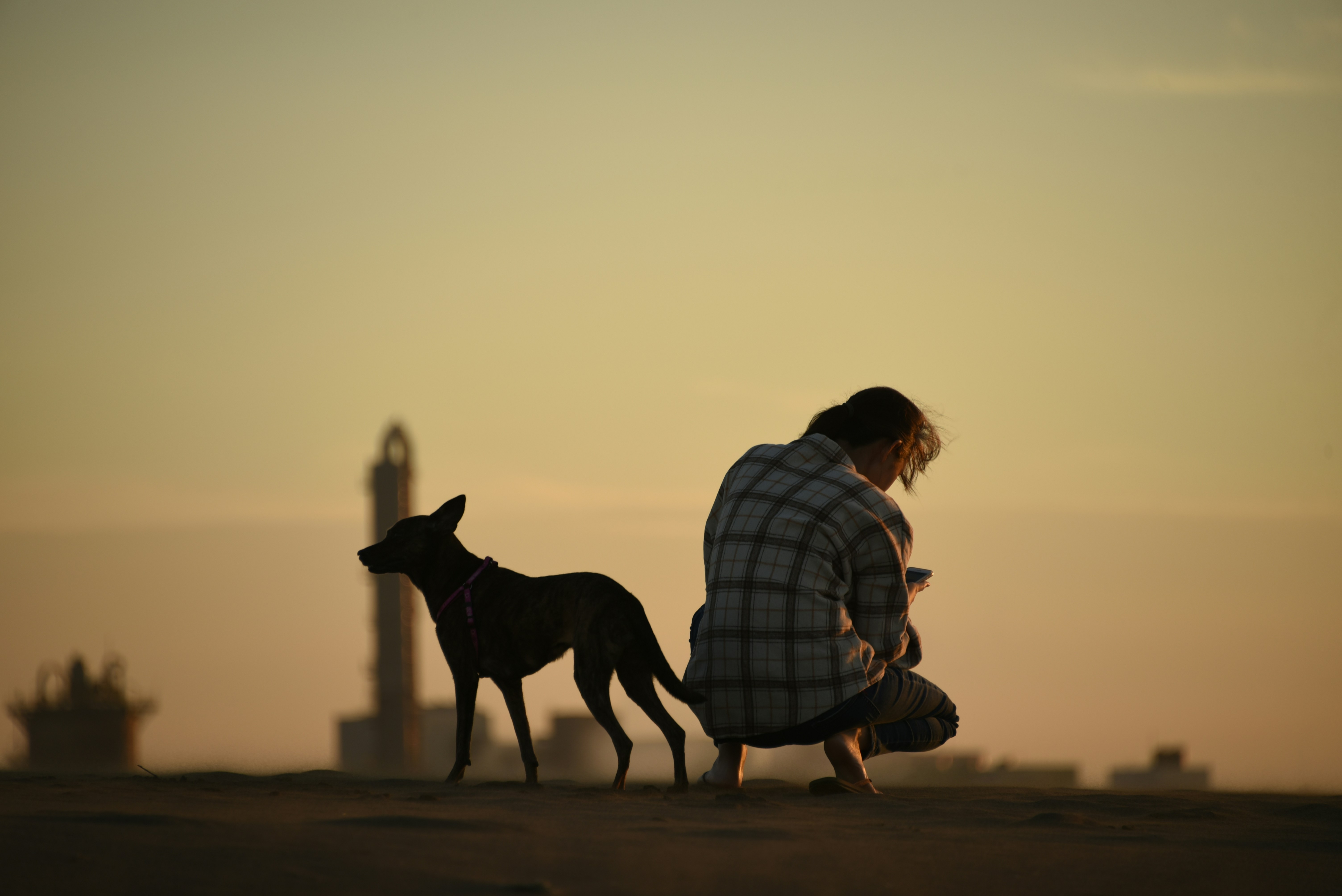 Dusk Silhouette: A Man and Dog Against a Distant Monolith
