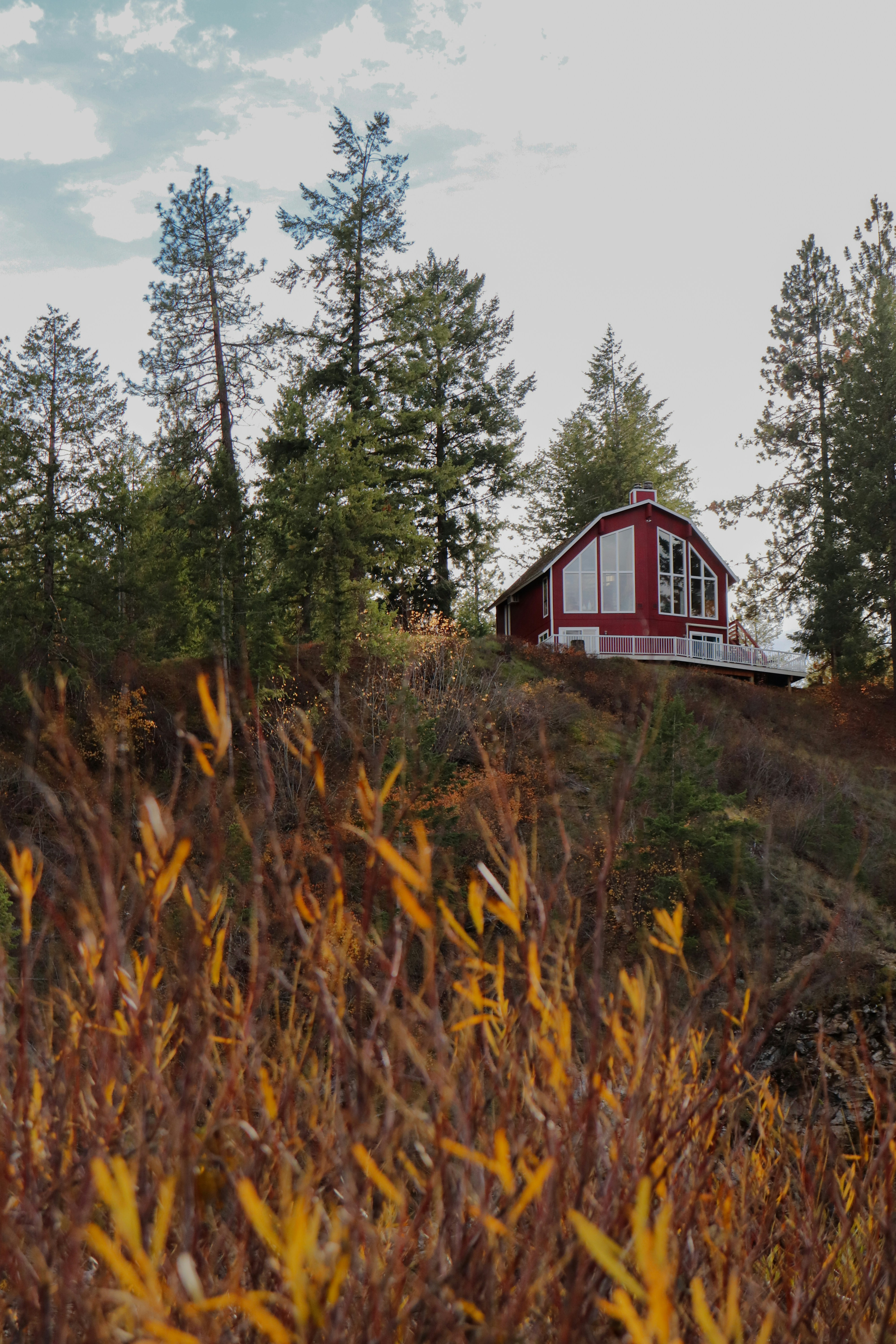 Crimson Cabin on the Ridge: Autumn Pines and Amber Grass