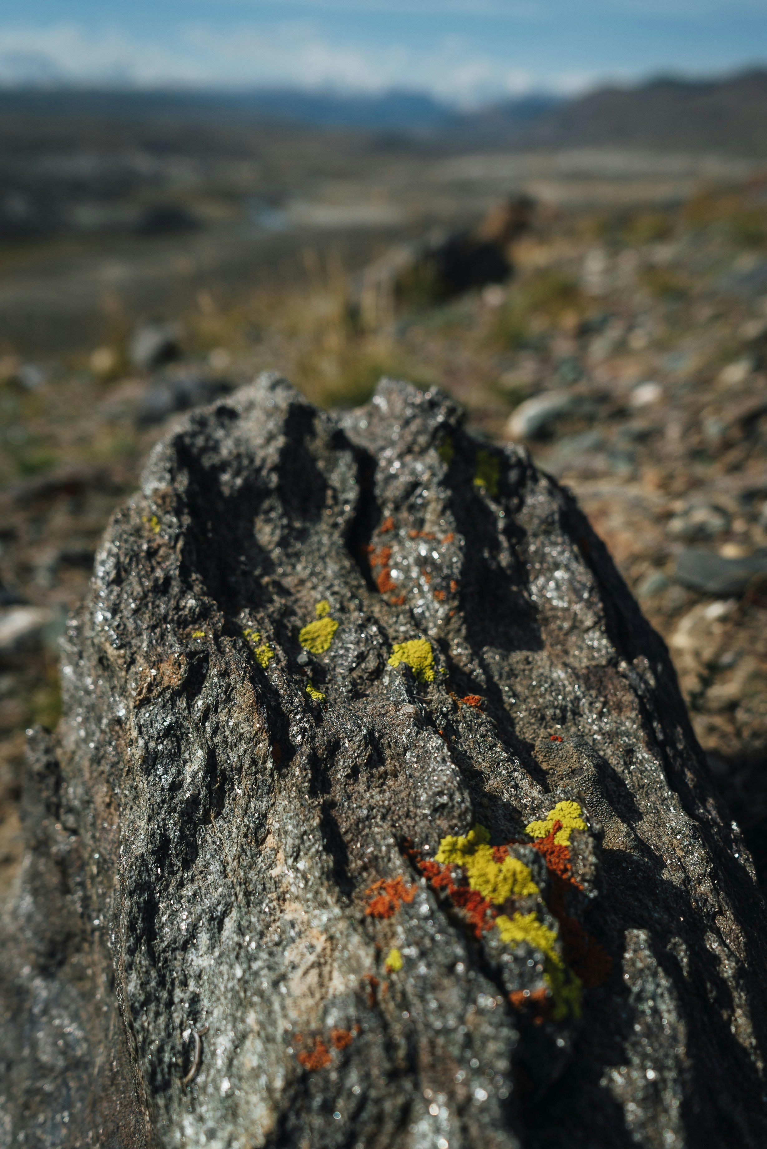 Close-up of a rugged rock adorned with vibrant lichen, set against a blurred landscape of distant hills and valleys.