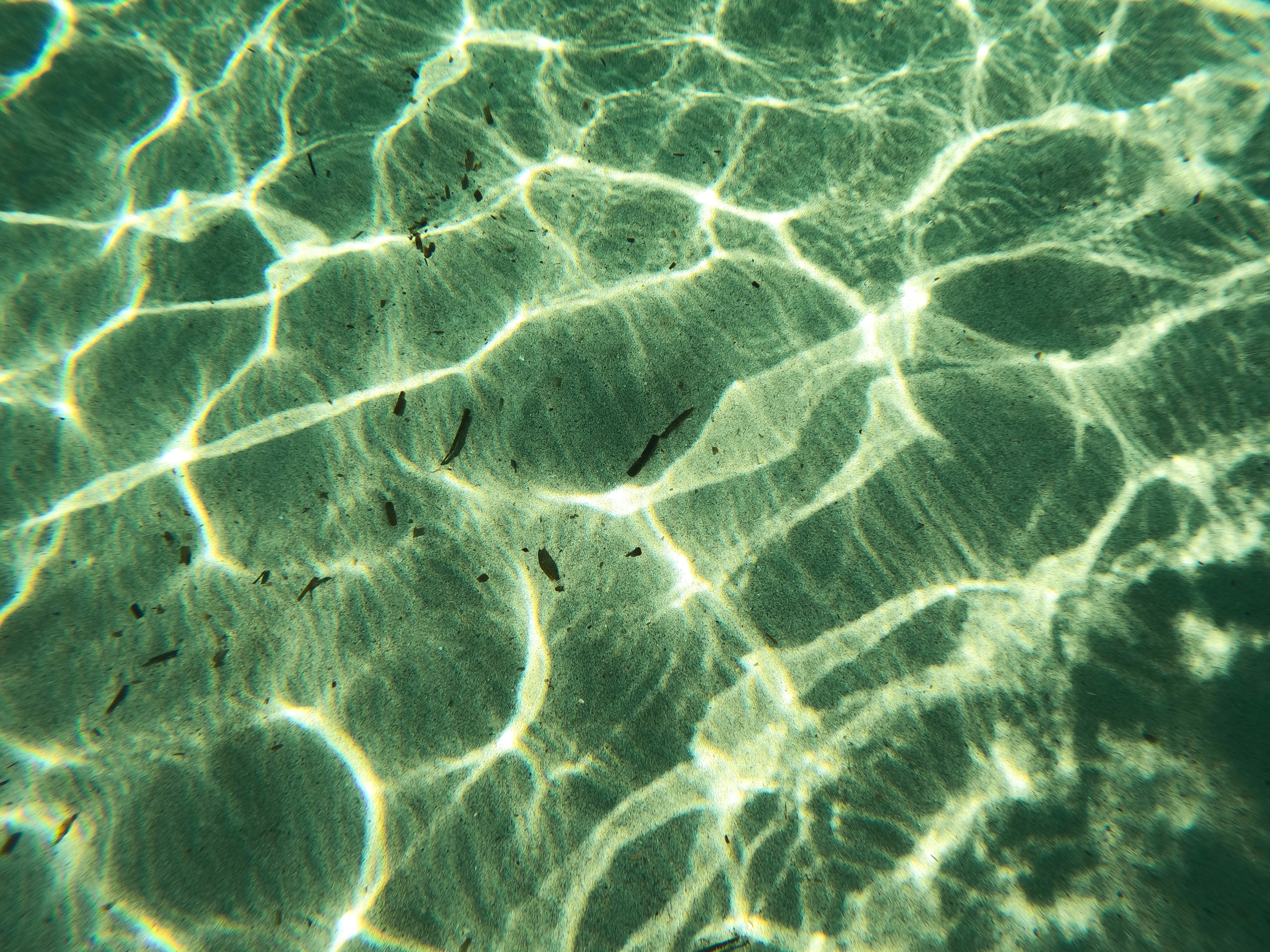 A close up view of a pool of water photo – Free Water Image on Unsplash