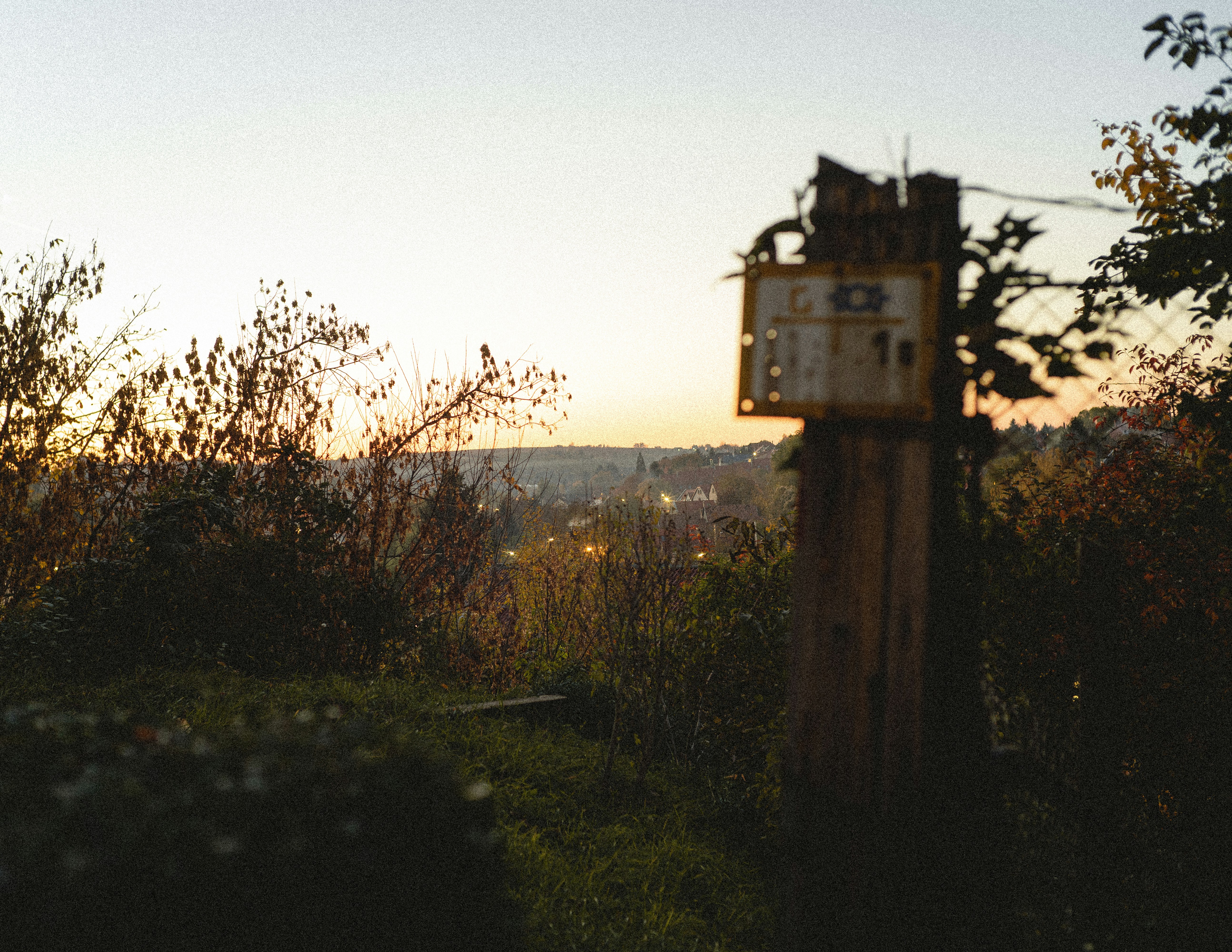 A Quiet Distant Beacon: Weathered Signpost Standing Guard over a Sunset Verge