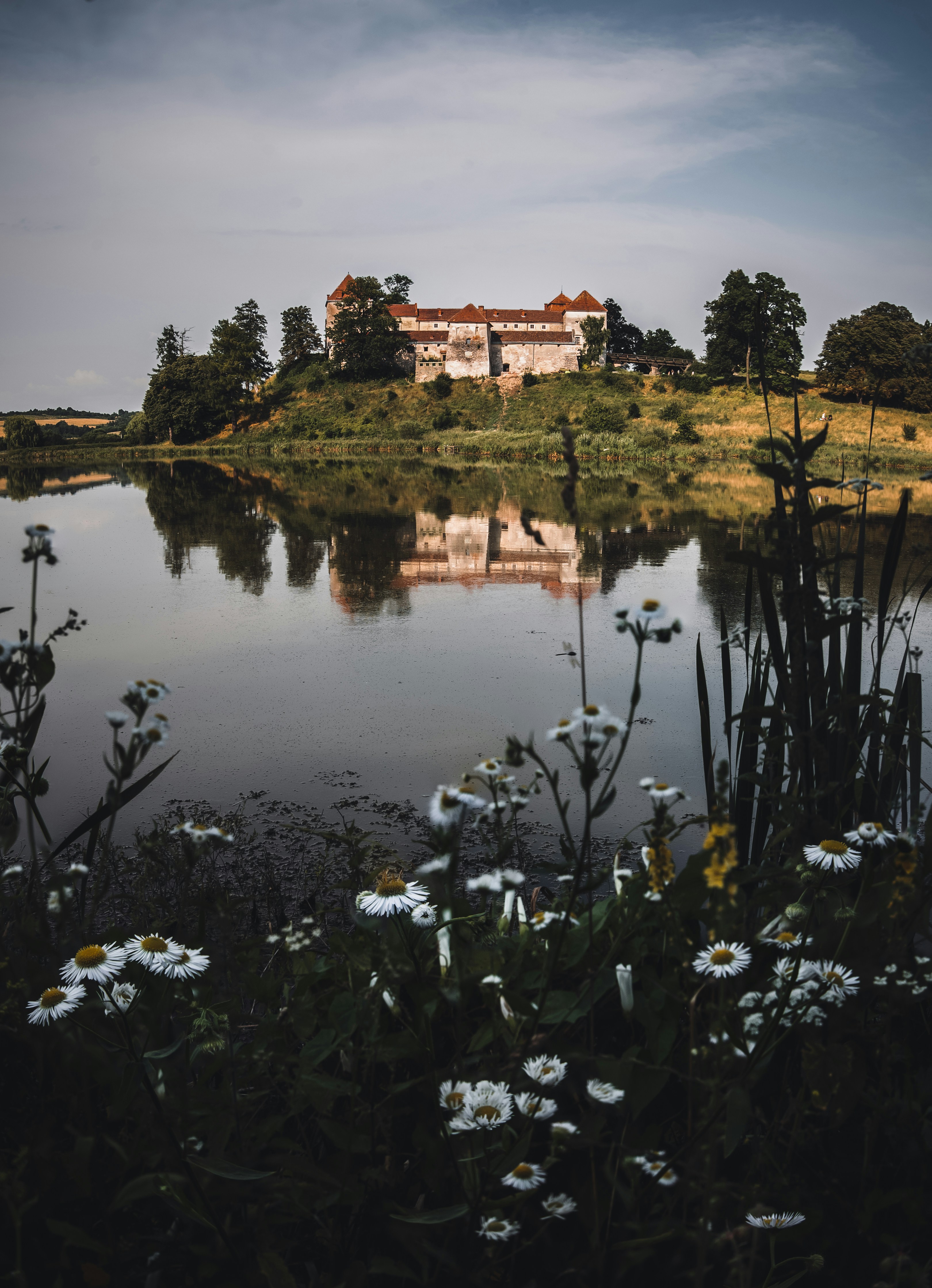 The Reflective Fortress: Lakeside Castle Framed by Wildflowers