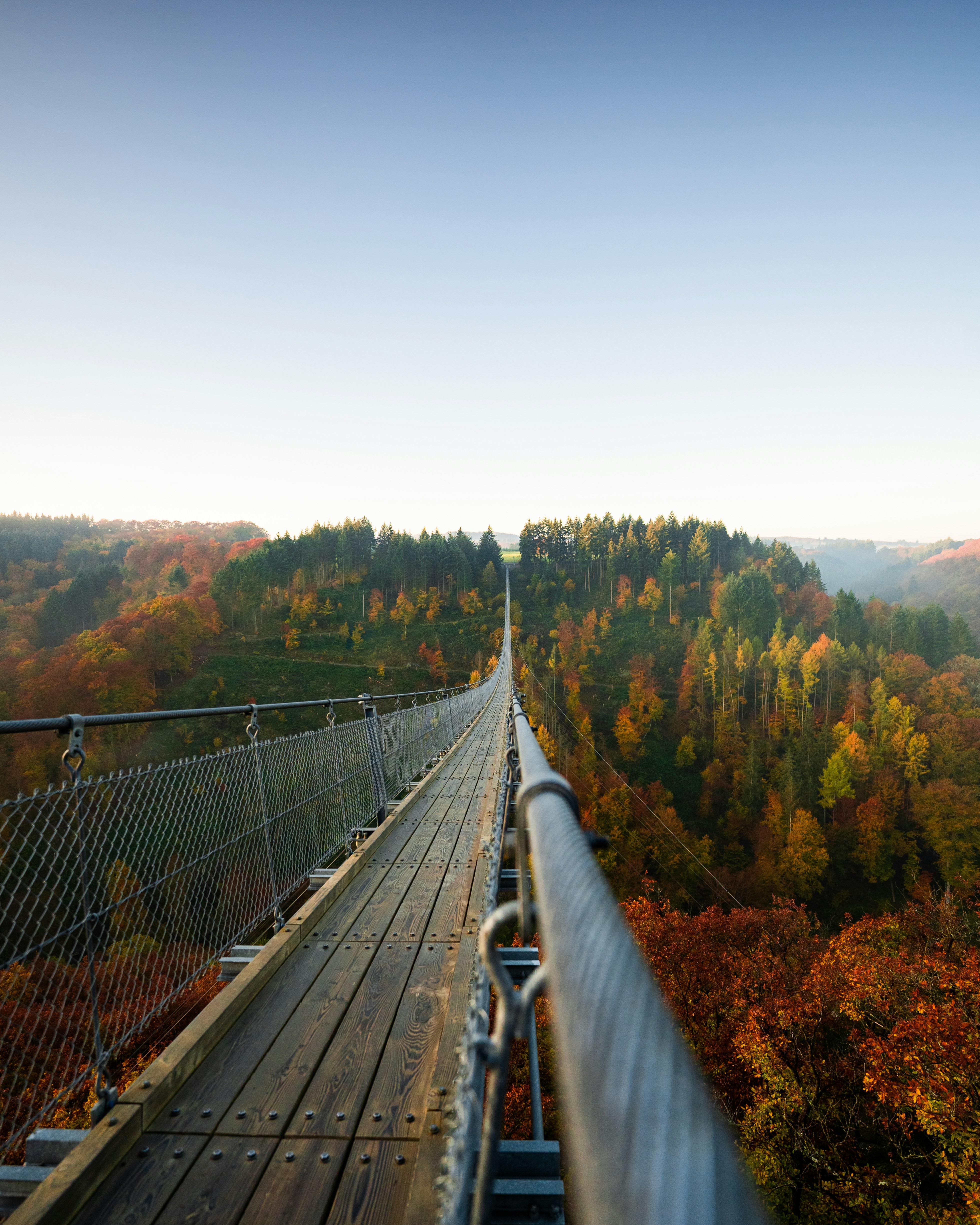 Bridge to the Autumn Horizon: A Vanishing Walkway Over a Tapestry of Fall Colors