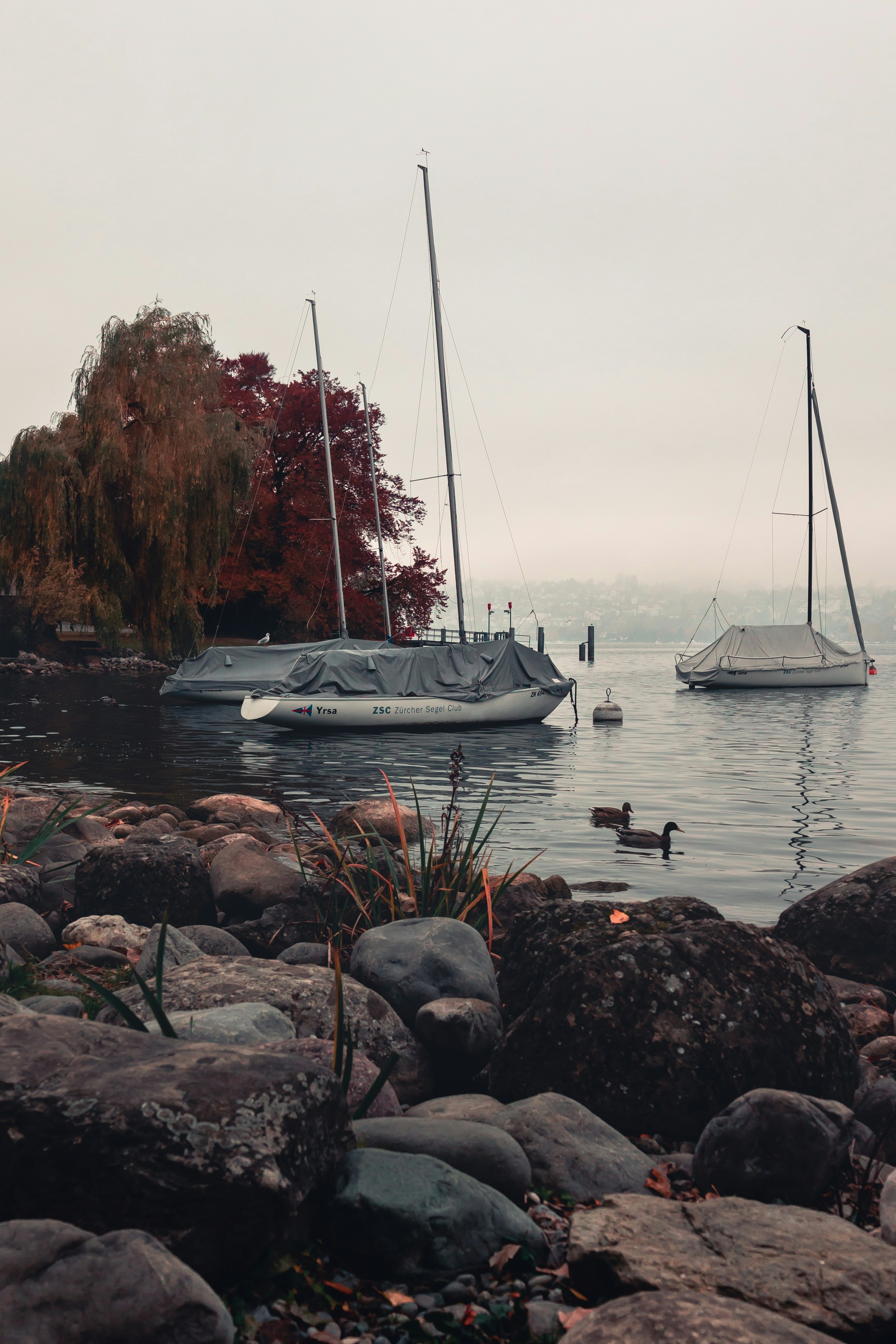 Autumn Mist Over Moored Sails by a Quiet Lake