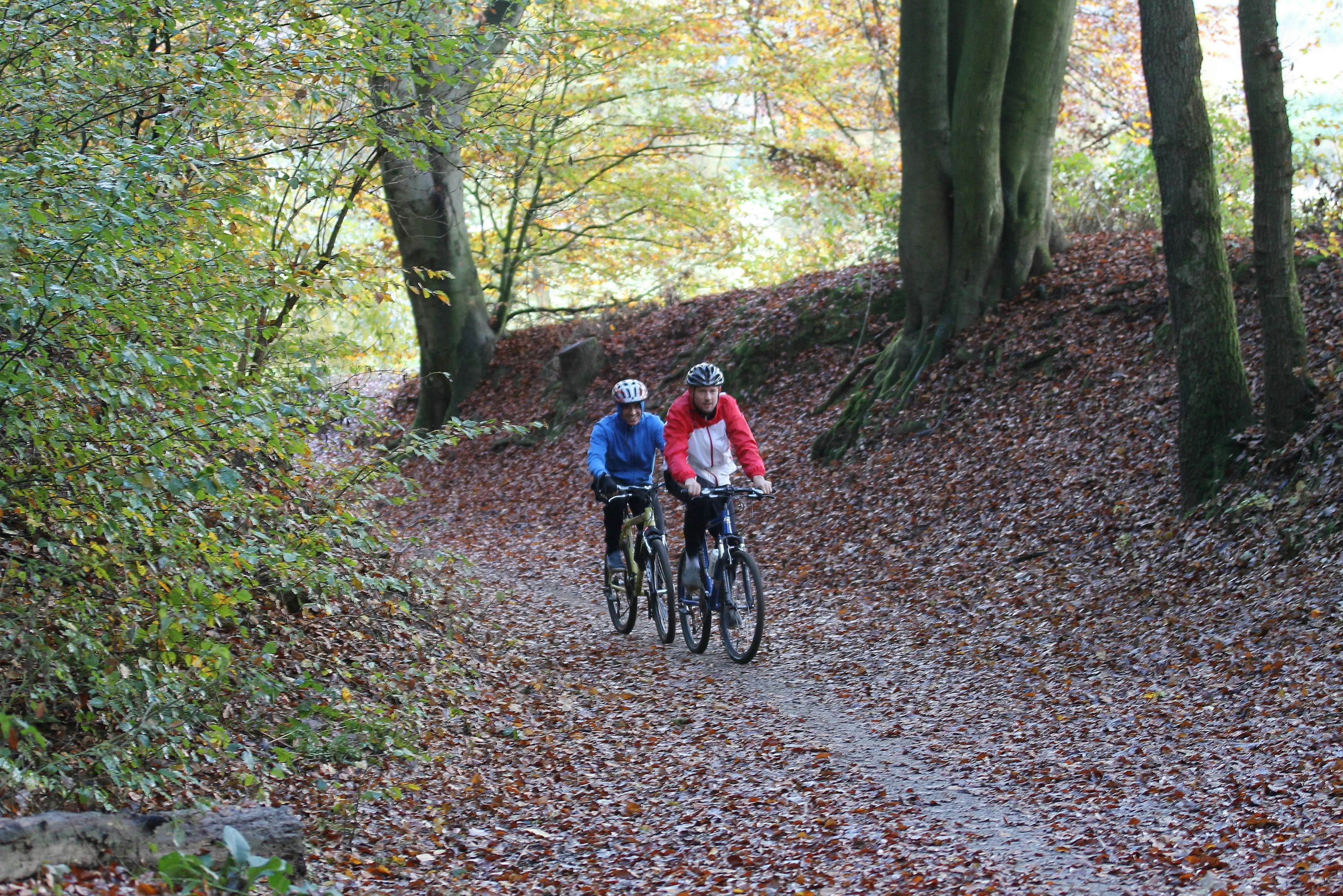 Two cyclists on a leaf-strewn forest trail in autumn light