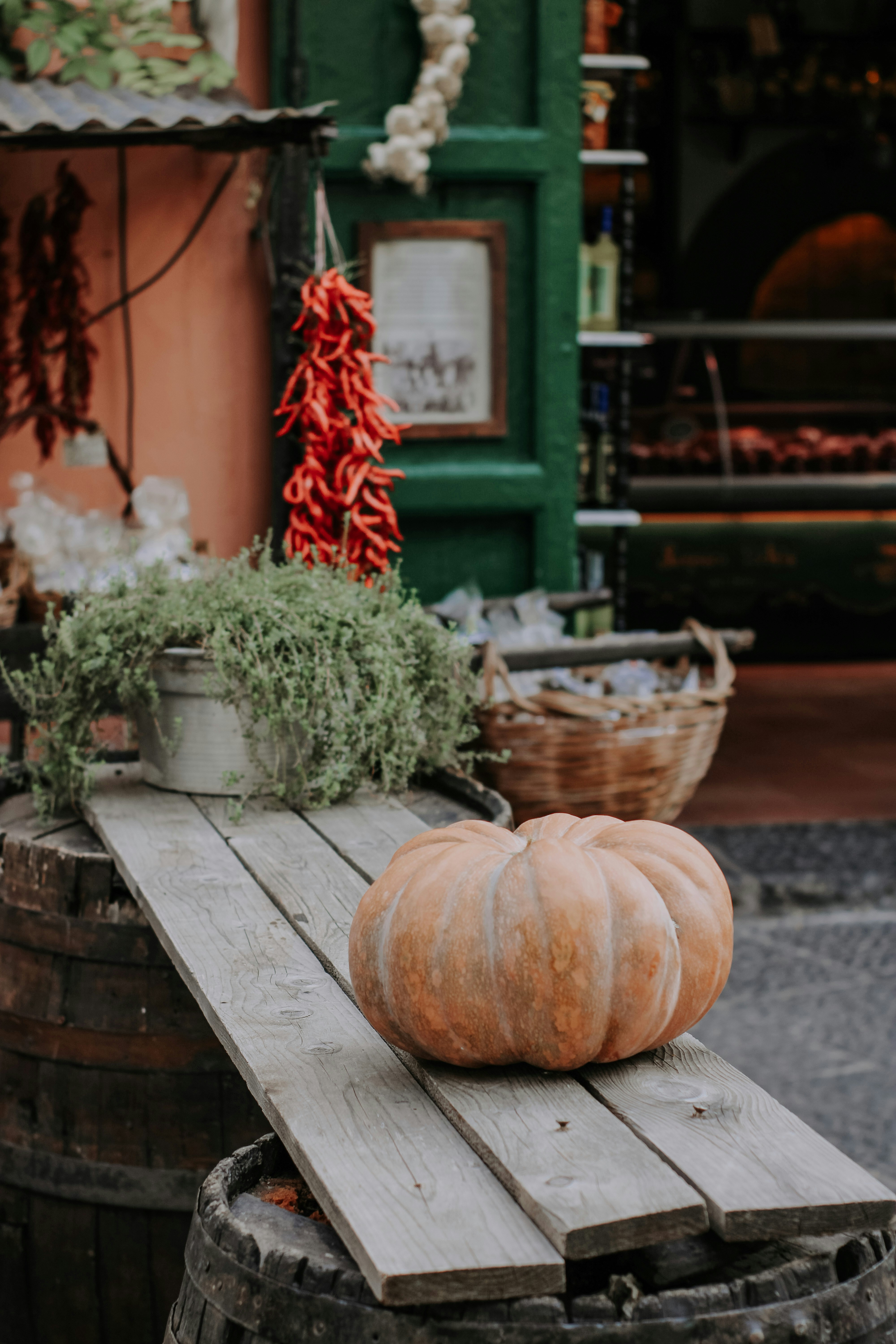 Autumn | 100+ best free photos on Unsplash