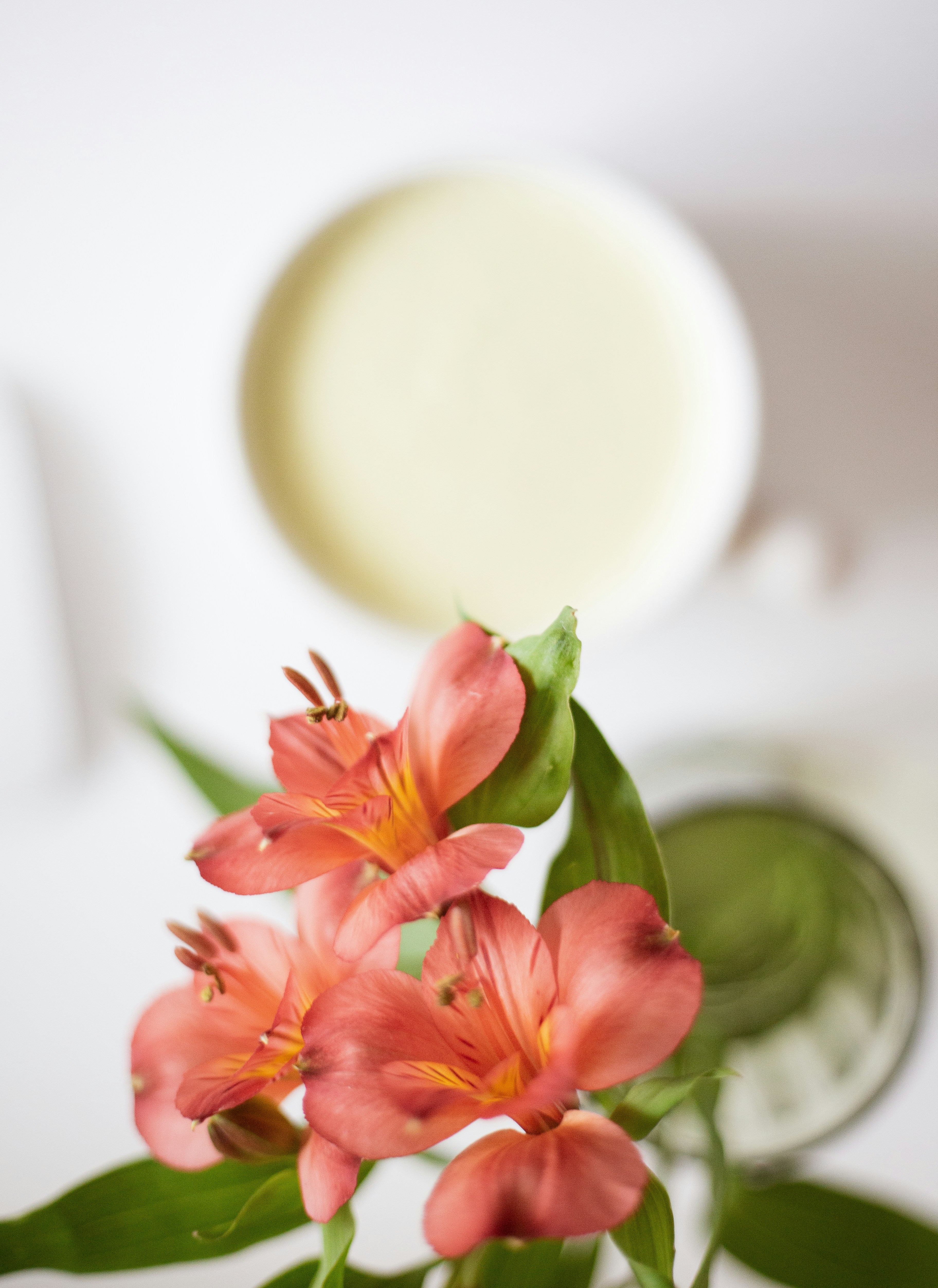 Vibrant pink flowers elegantly positioned in the foreground, contrasting with a softly blurred creamy cup in the background.