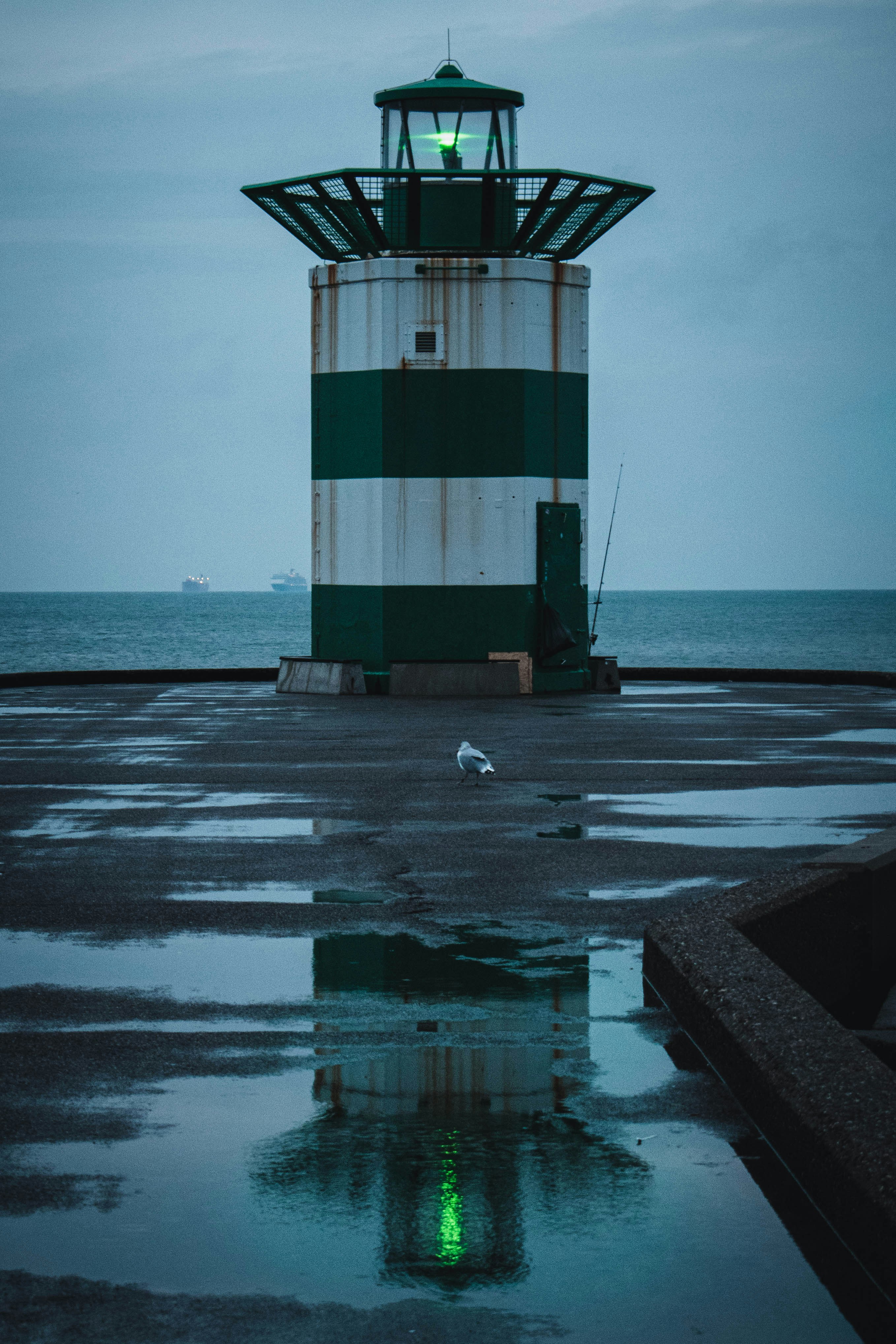 A green and white striped lighthouse stands tall against the serene sea, reflecting in the wet pavement below. A solitary seagull adds a touch of life to the tranquil scene.