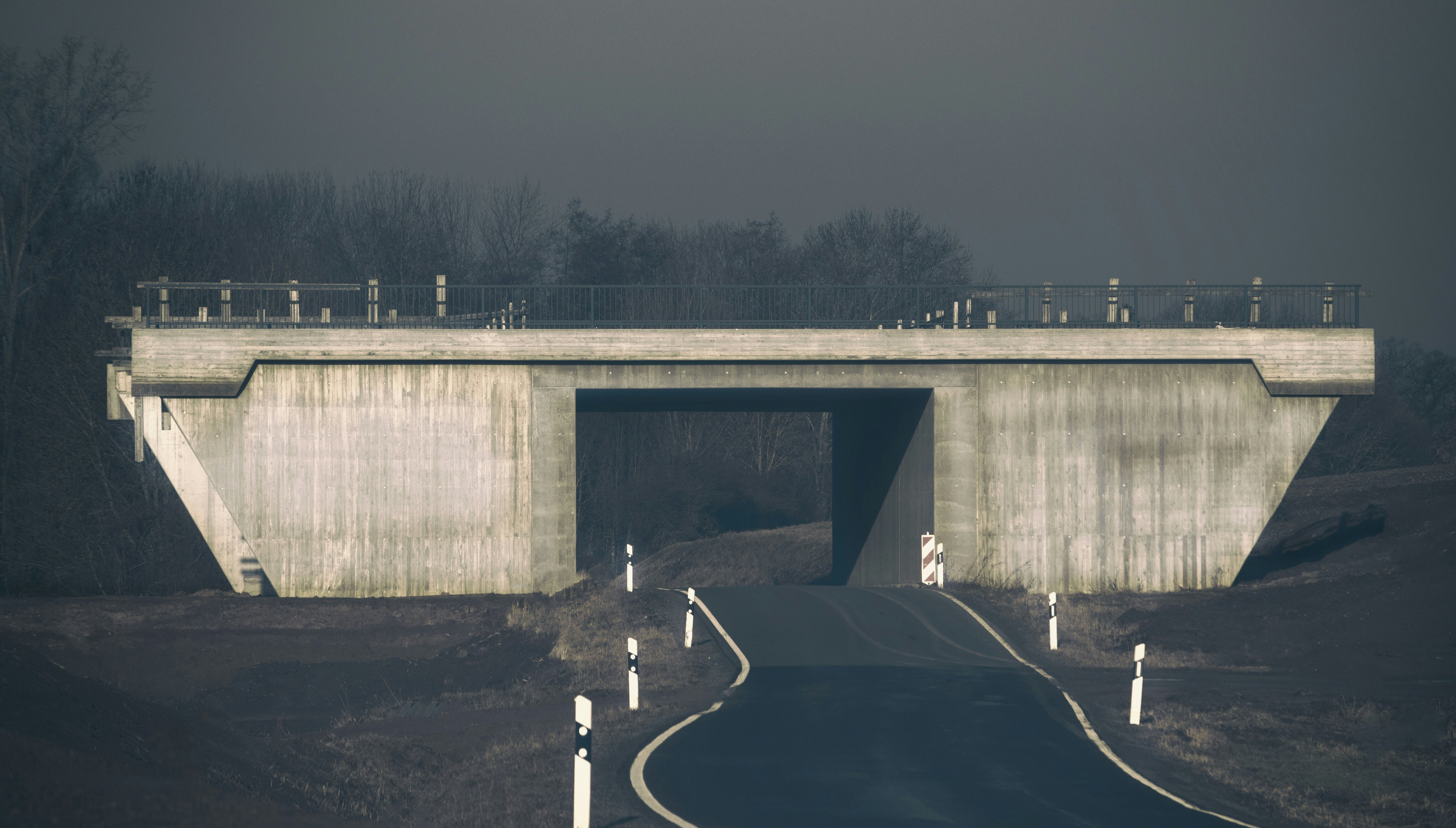 Une route passant sous un pont au milieu de la nuit photo – Photo ...
