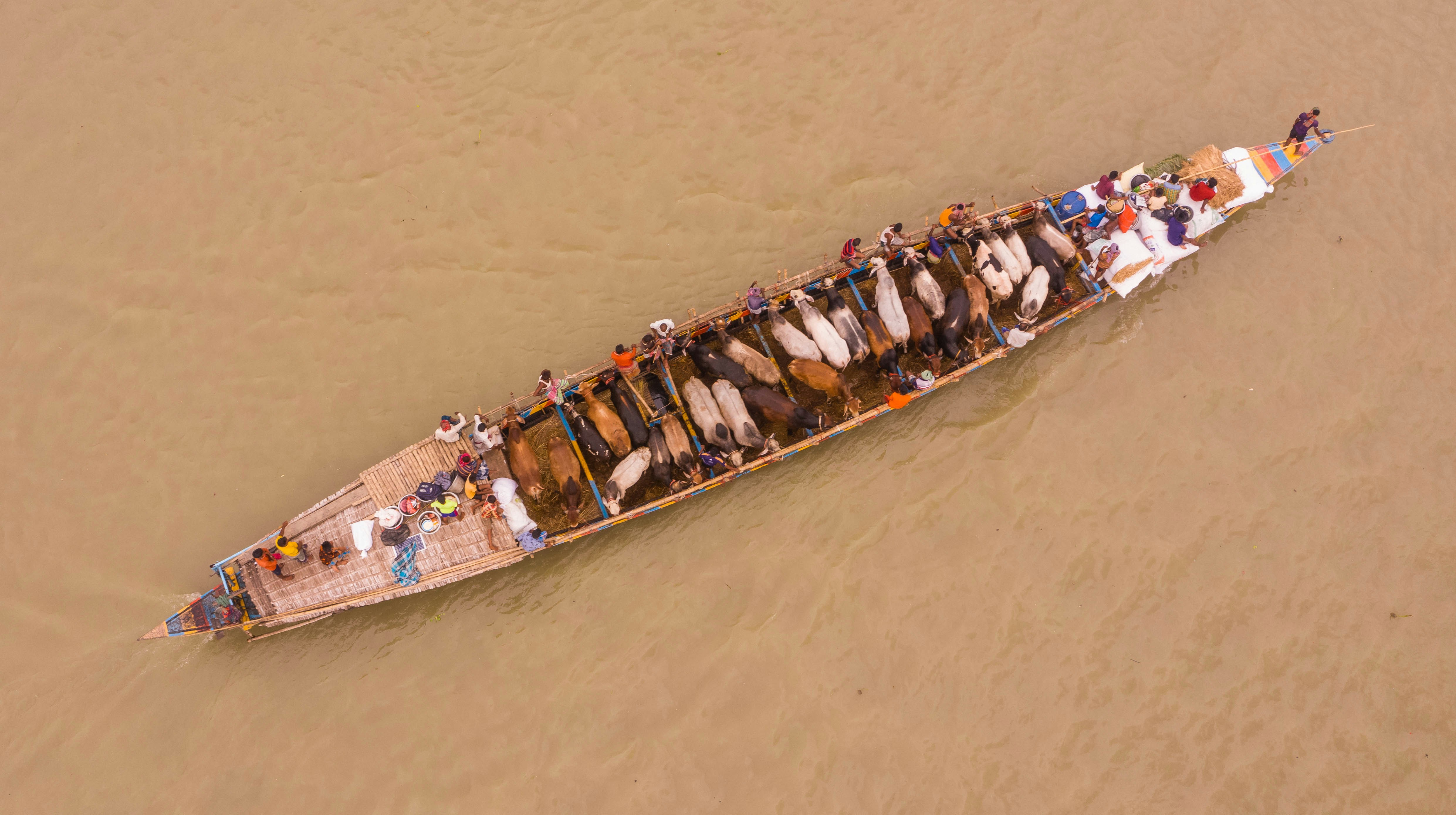 Cattle boat in Buriganga River