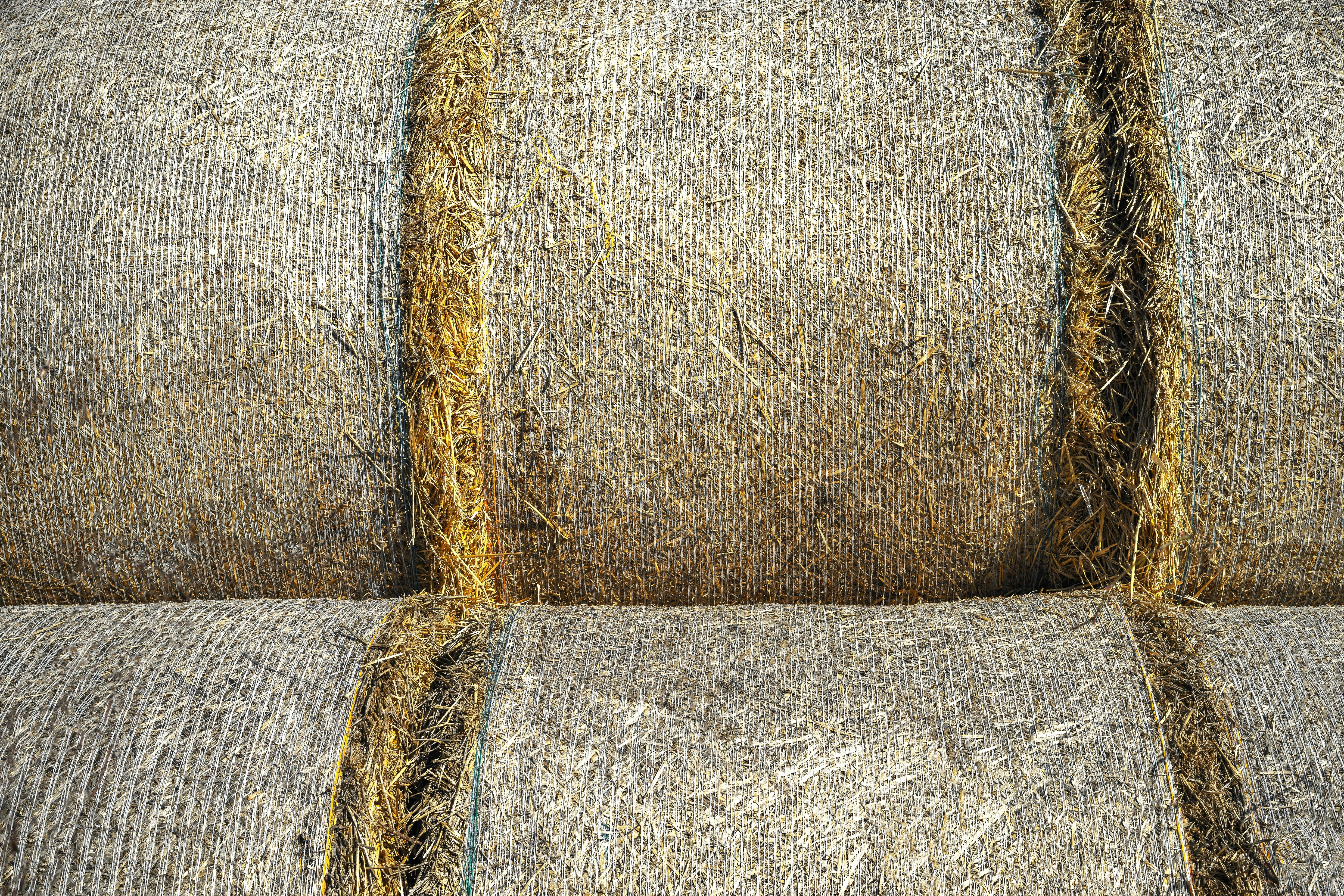 A close up of hay bales stacked on top of each other photo – Free ...