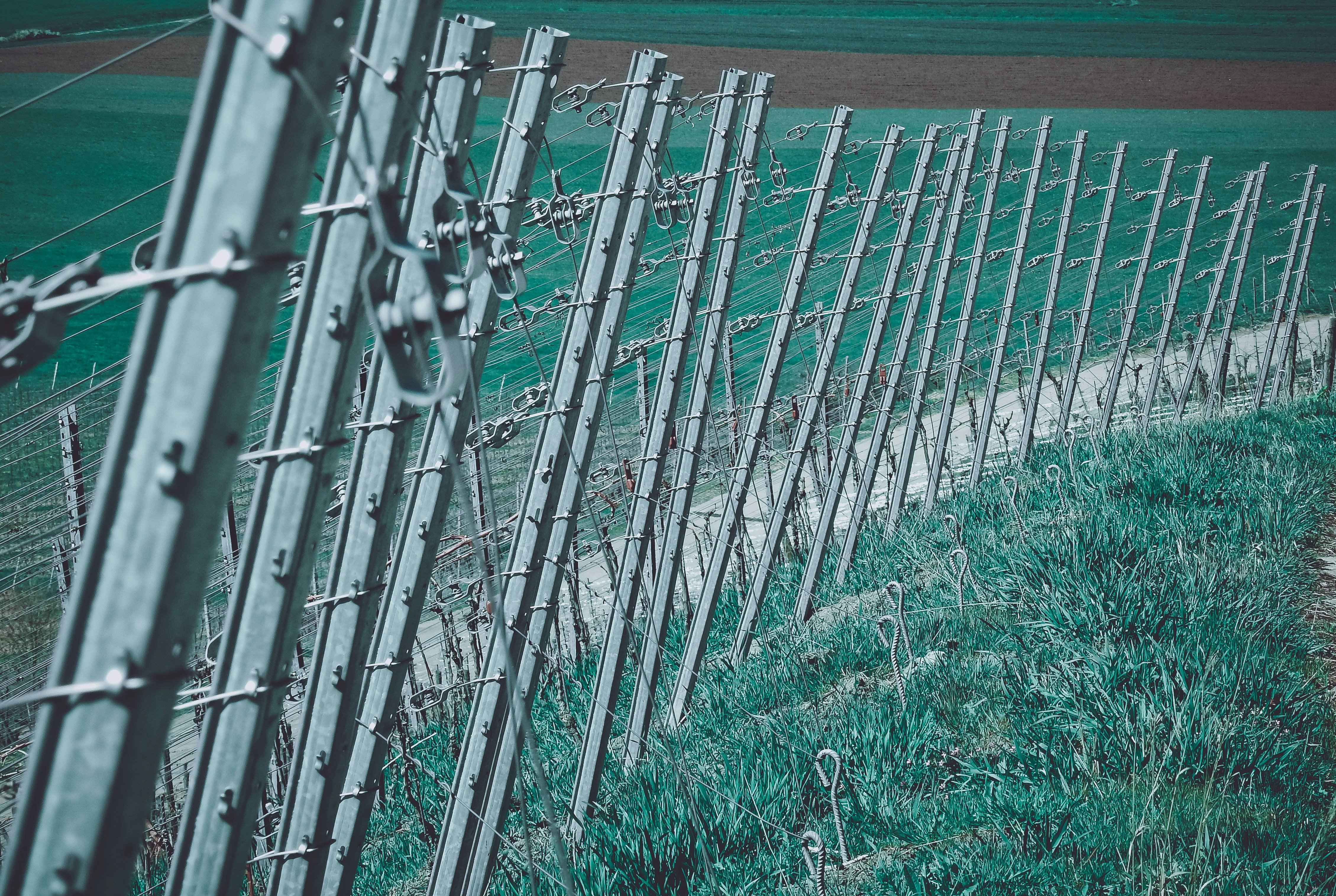 A series of leaning fence posts guiding the viewer's eye along a winding dirt path through lush green fields.