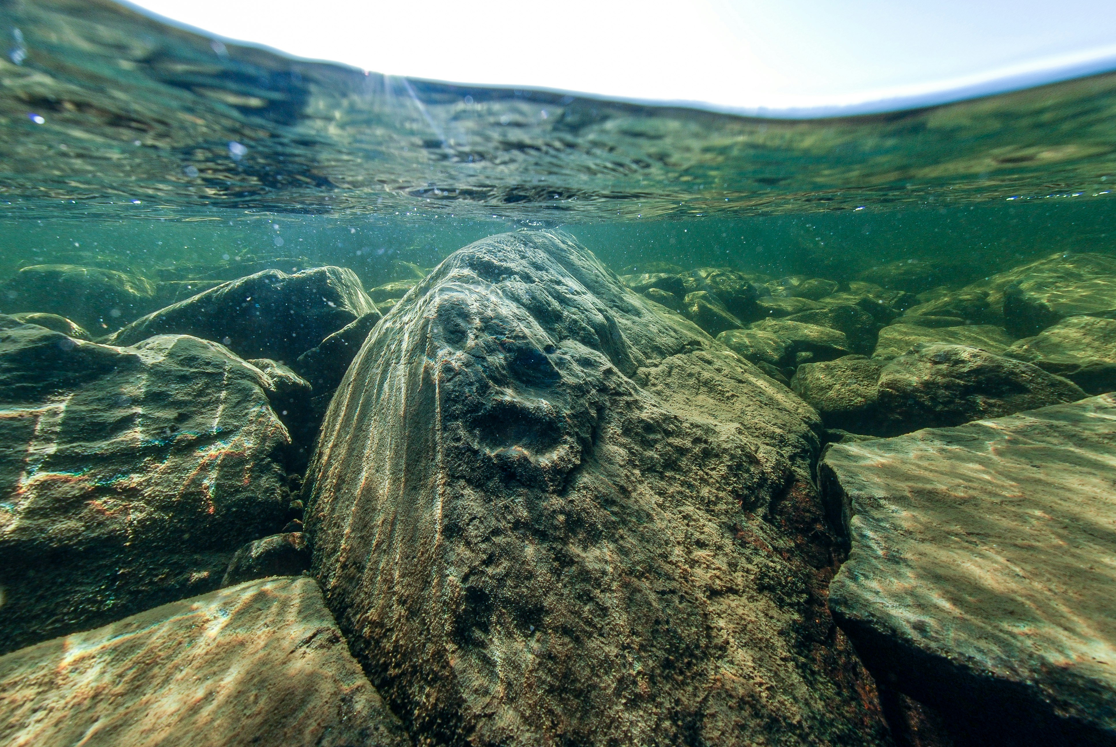 An underwater view of rocks and water photo – Free Skellefteå Image on ...