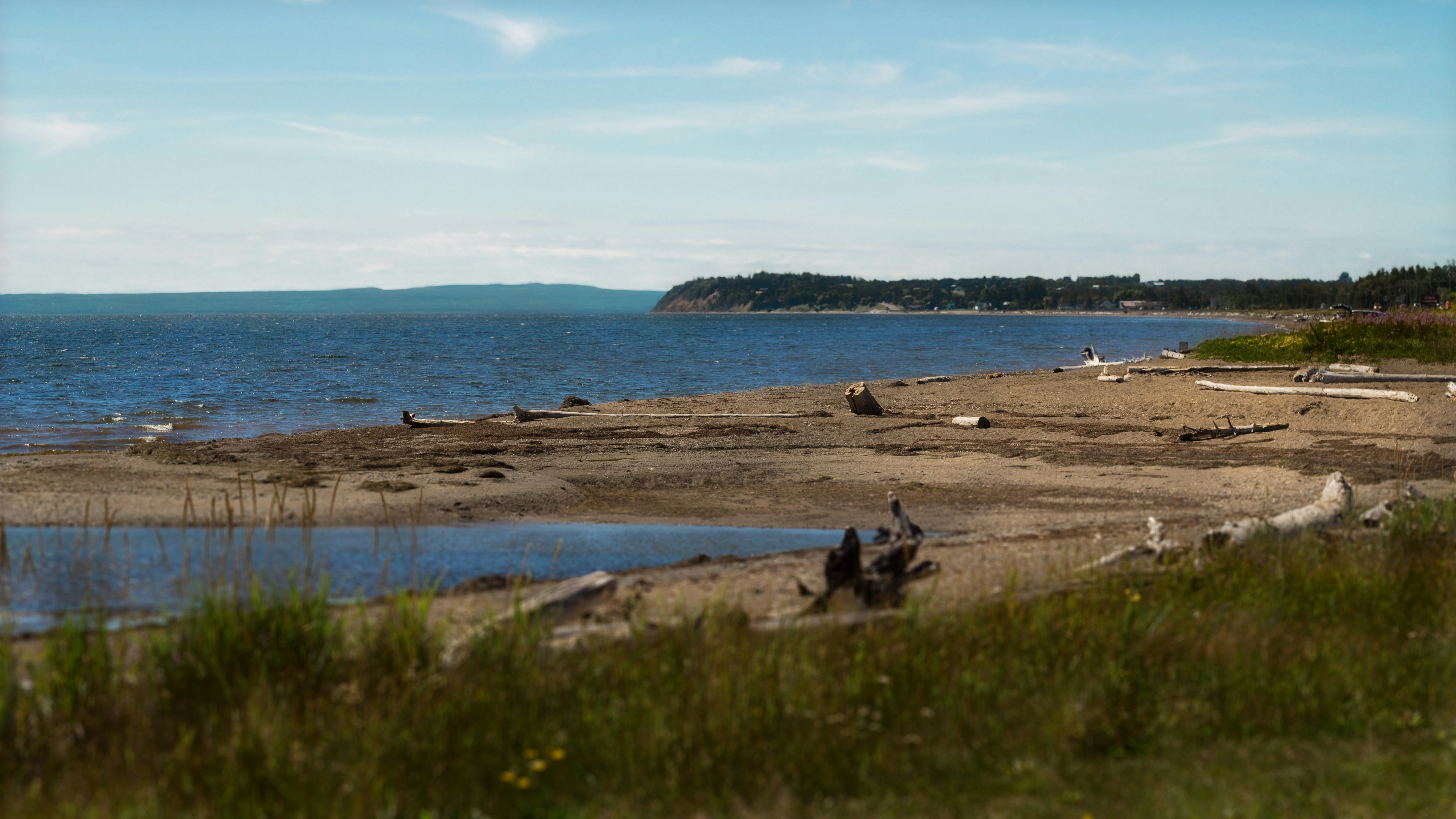 Tranquil beach scene with grassy foreground and distant shoreline under a clear blue sky.