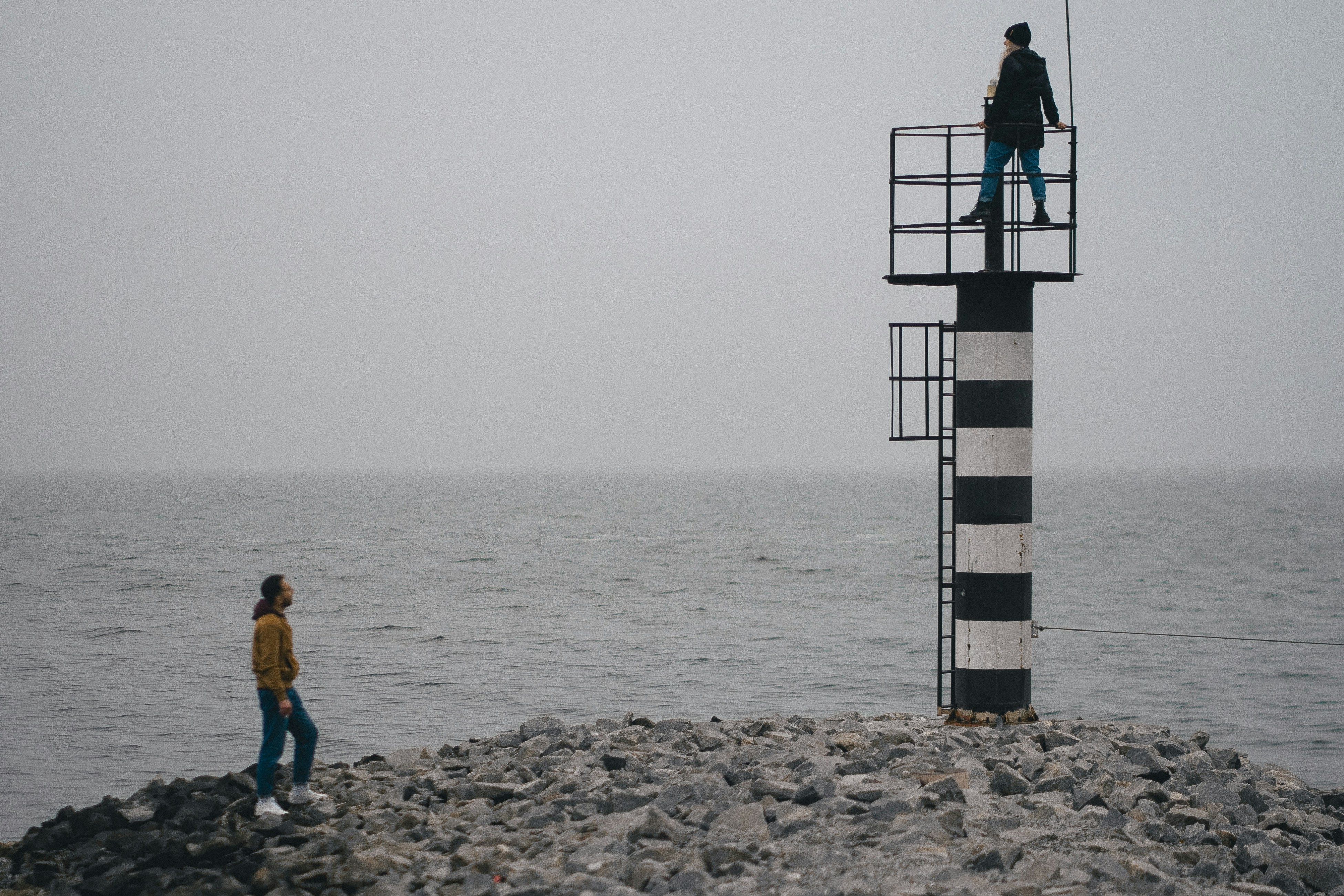 Stripe Sentinel: Quiet Convergence on a Breakwater