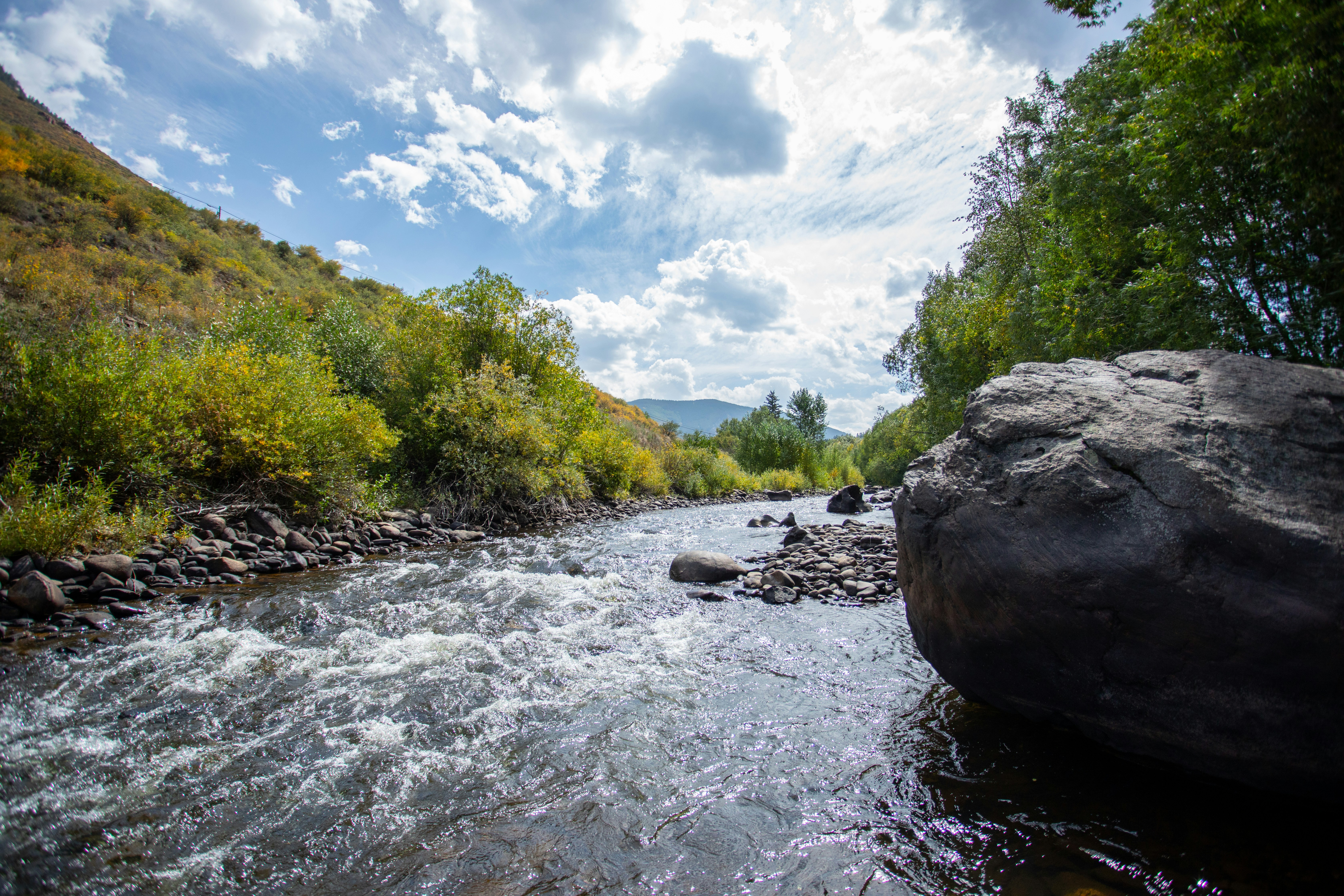 Une rivière qui coule à travers une forêt verdoyante photo – Photo L ...