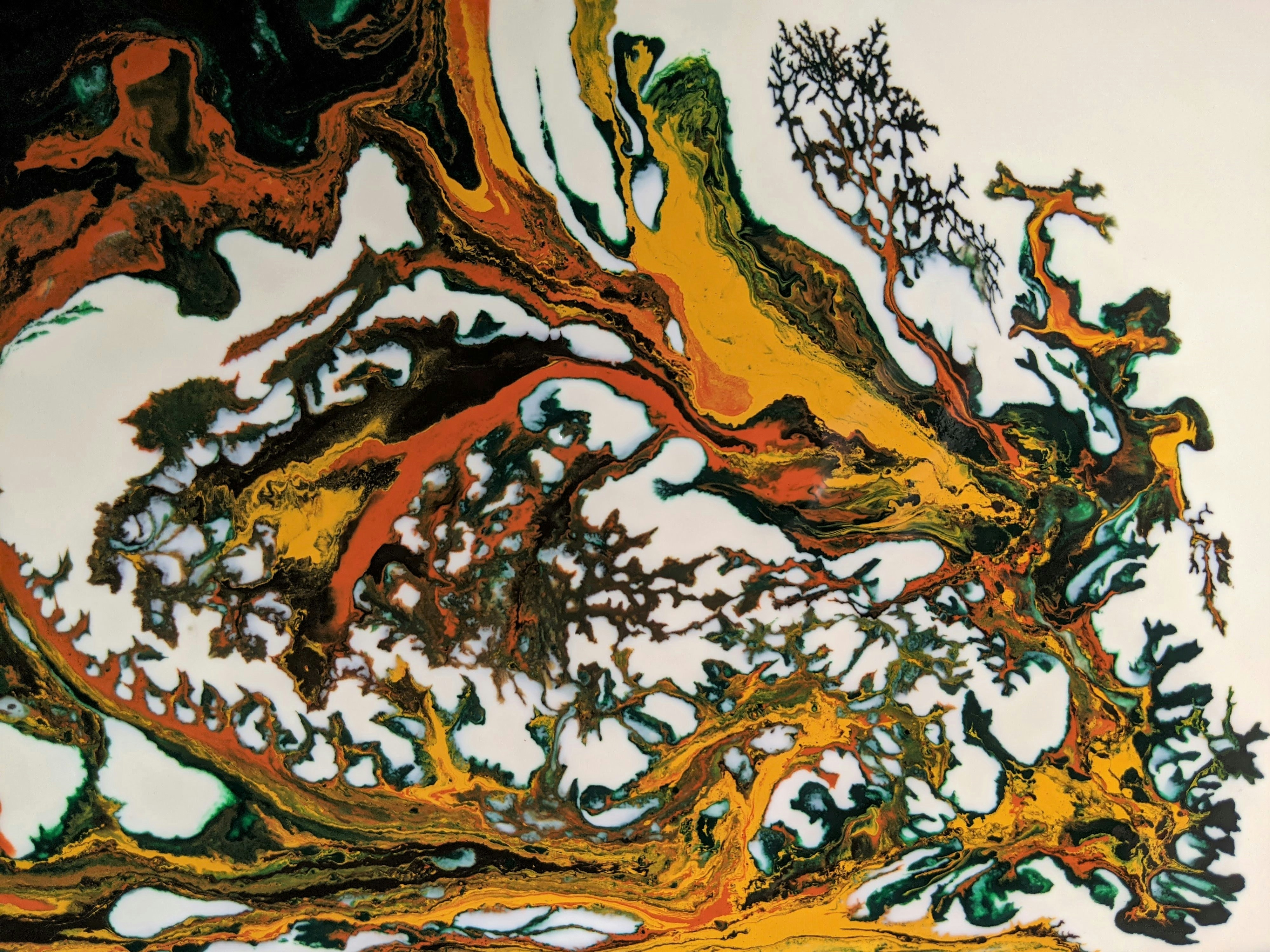 An abstract painting of a tree branch photo – Free Fall colors Image on ...