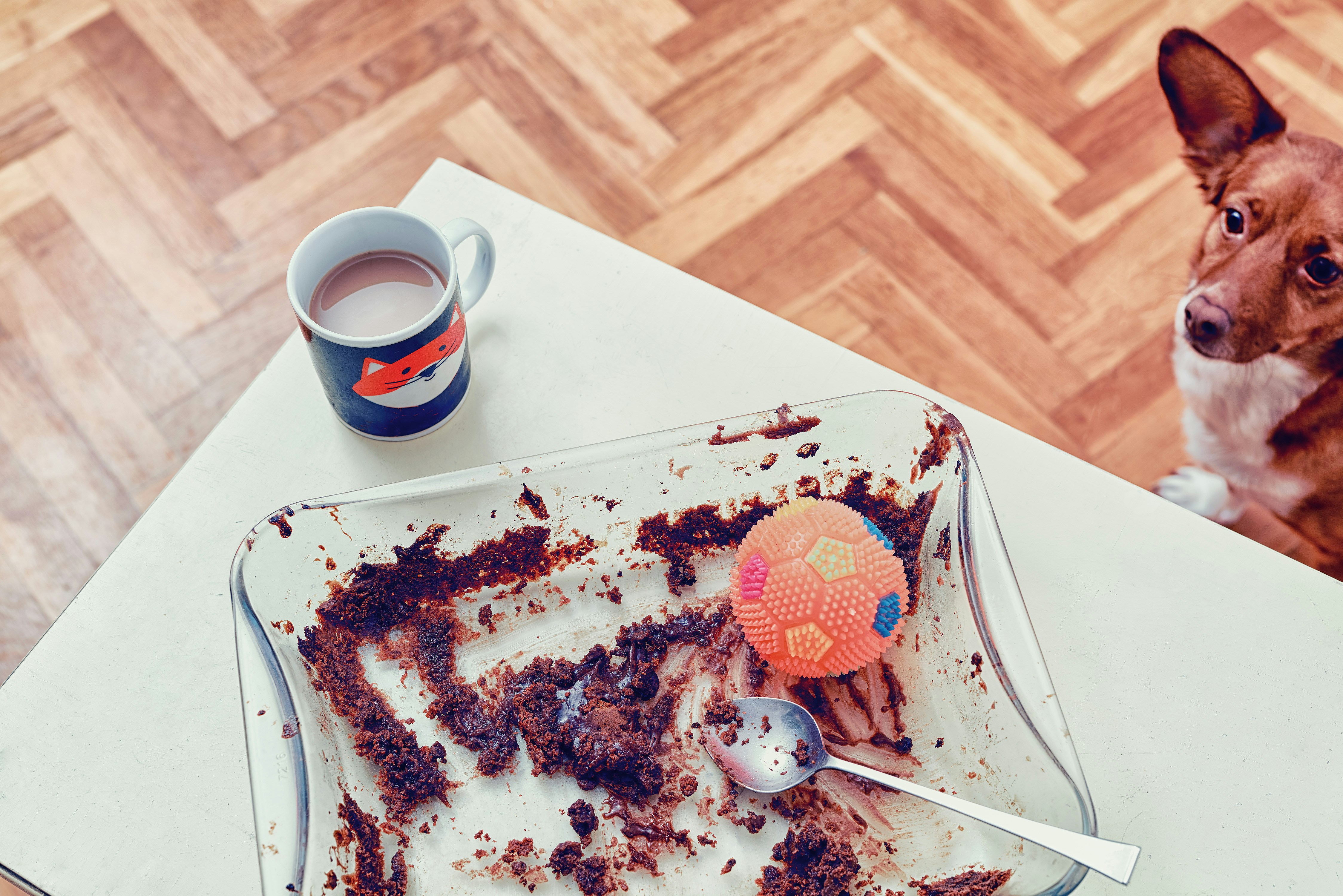 Messy plate with chocolate cake crumbs sits on a white tray atop a wooden parquet floor, accompanied by a patterned mug and an orange ball. A curious dog peers into the frame from the top-right corner.