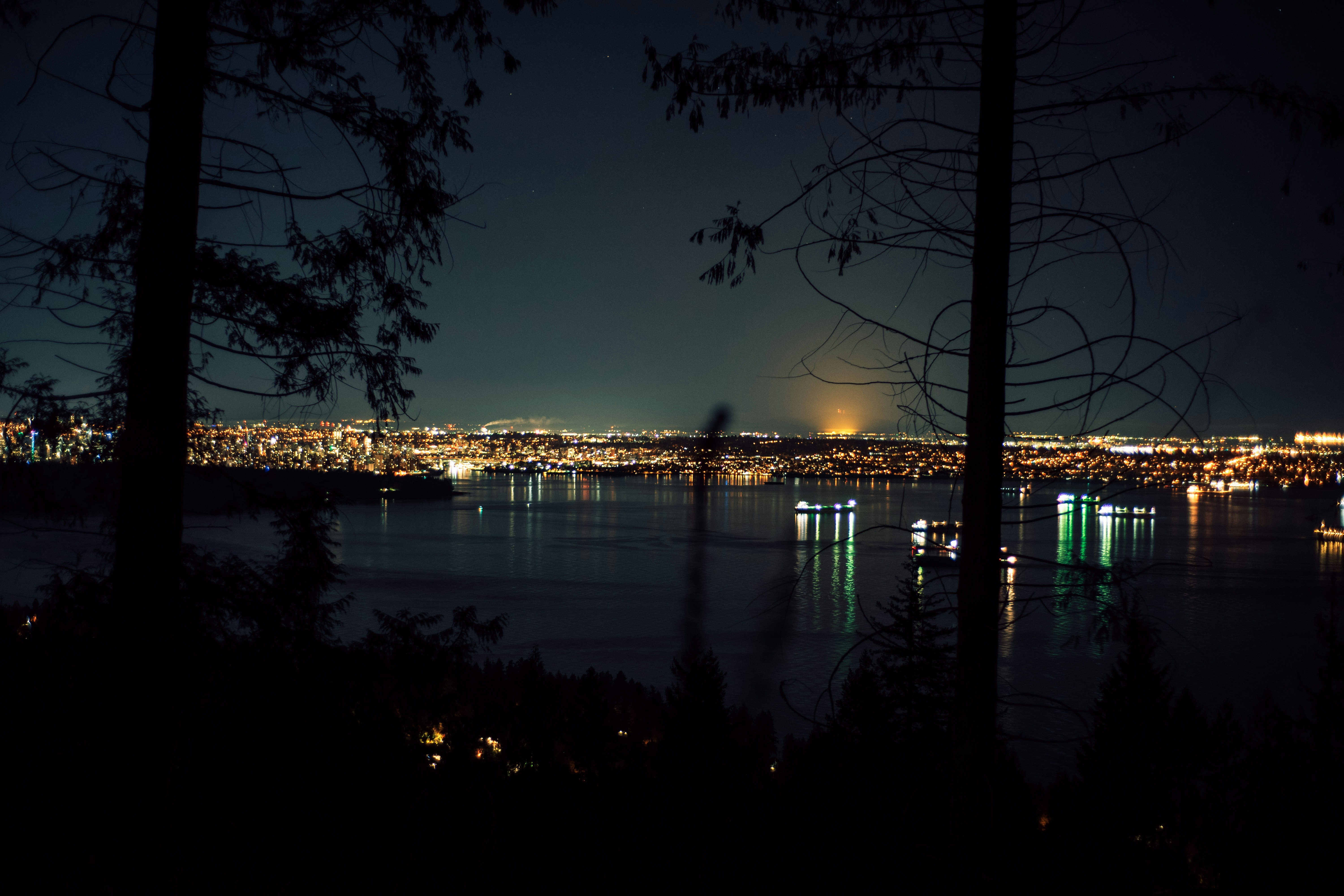 Neon Horizon: City Lights Framed by Night Pines